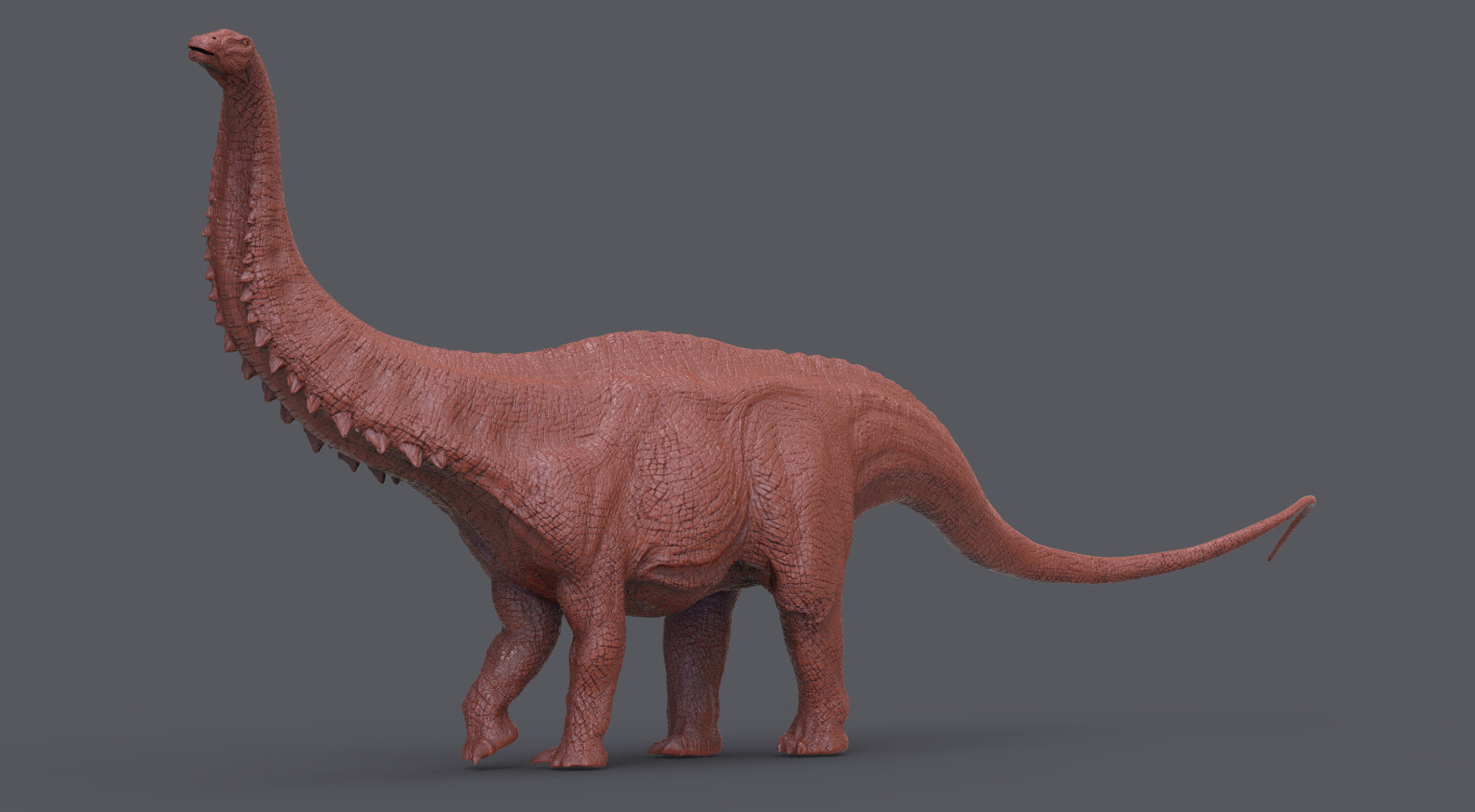 Emi Nakasuka - Apatosaurus louisae