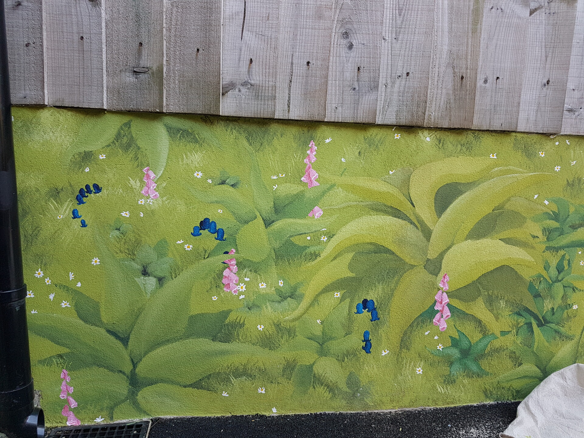 Judy Bellingham - Mural Painting Portfolio