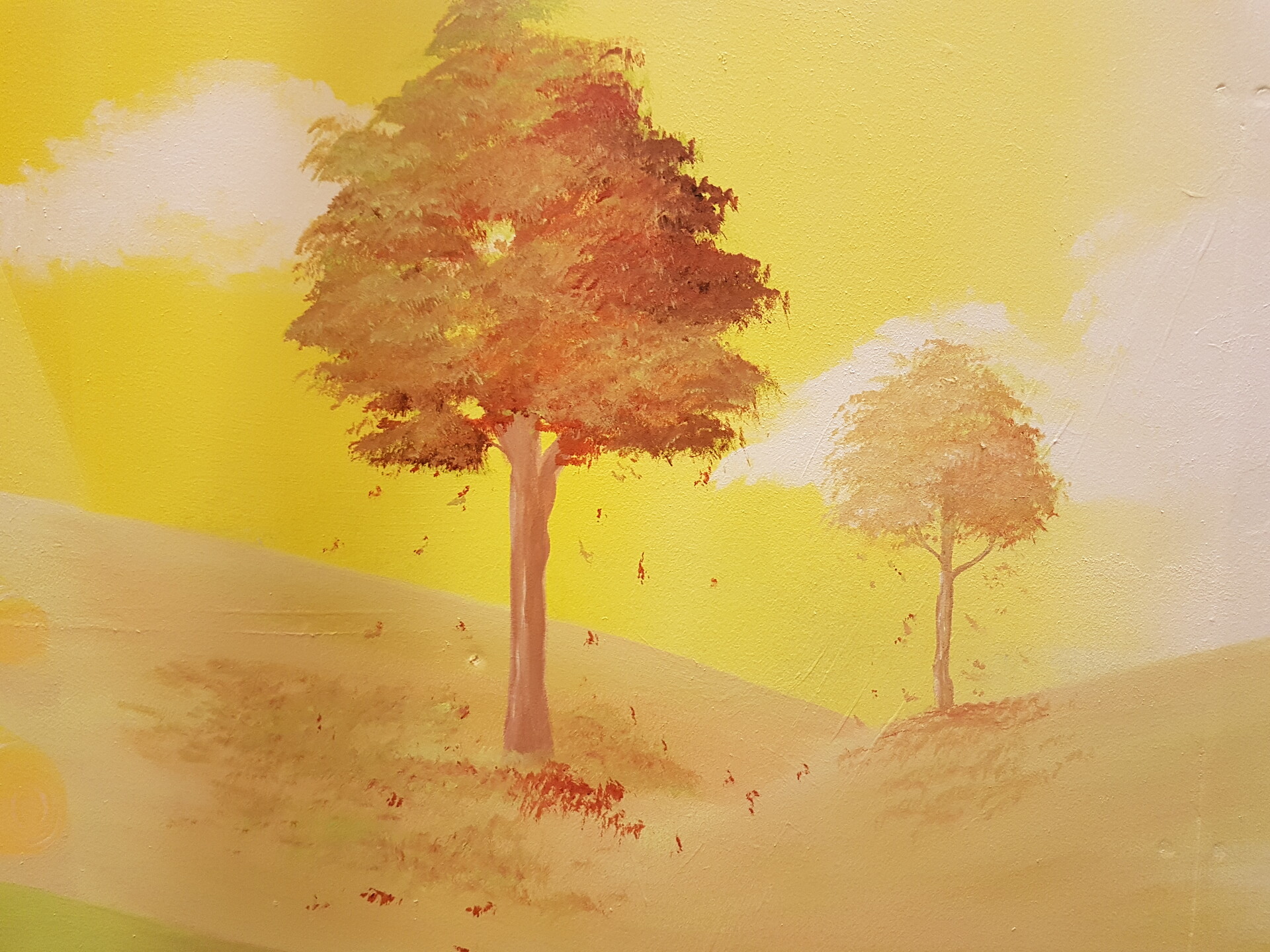 Judy Bellingham - Mural Painting Portfolio