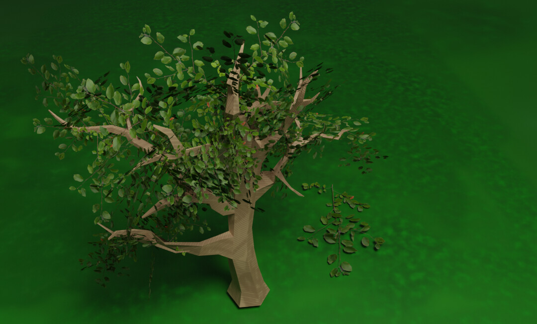 Derek - Shape Practice