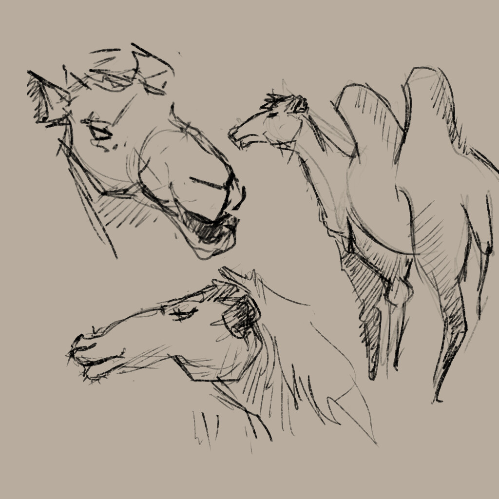 ArtStation - camels study