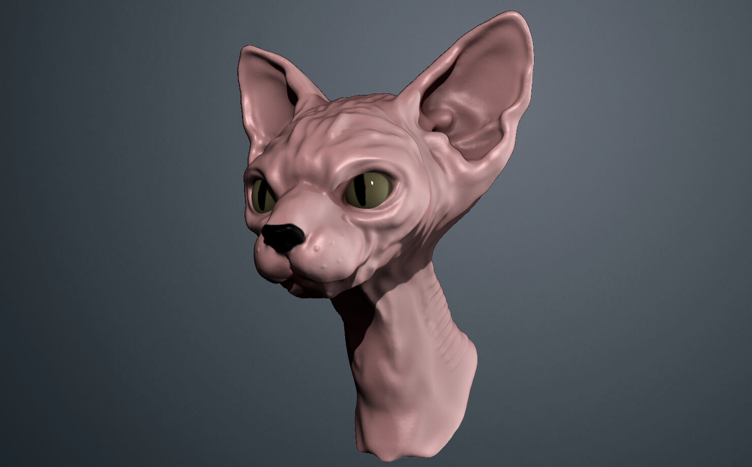 ArtStation - Cat Model