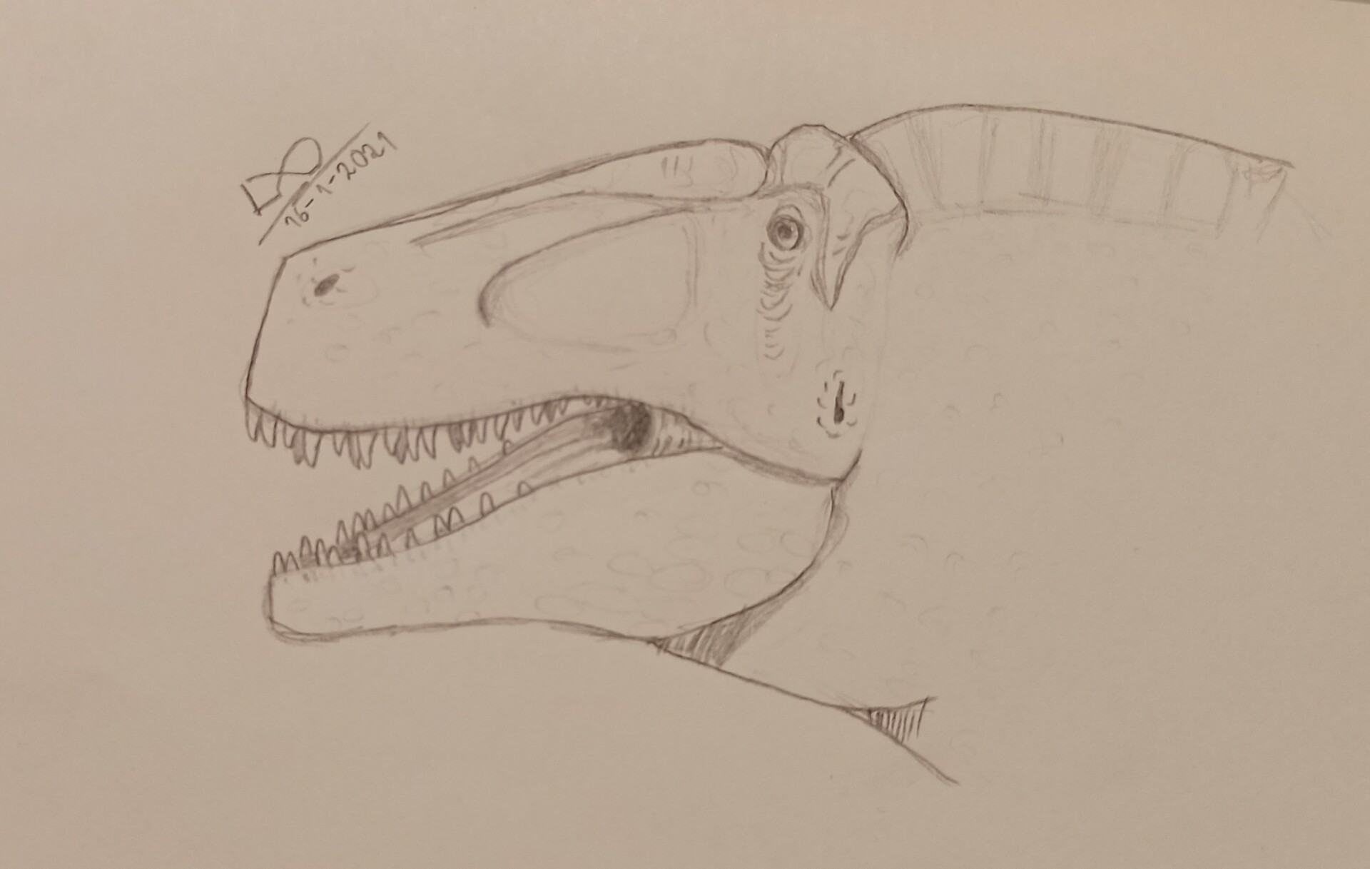 ArtStation - Acrocanthosaurus head/ cabeza de Acrocanthosaurus