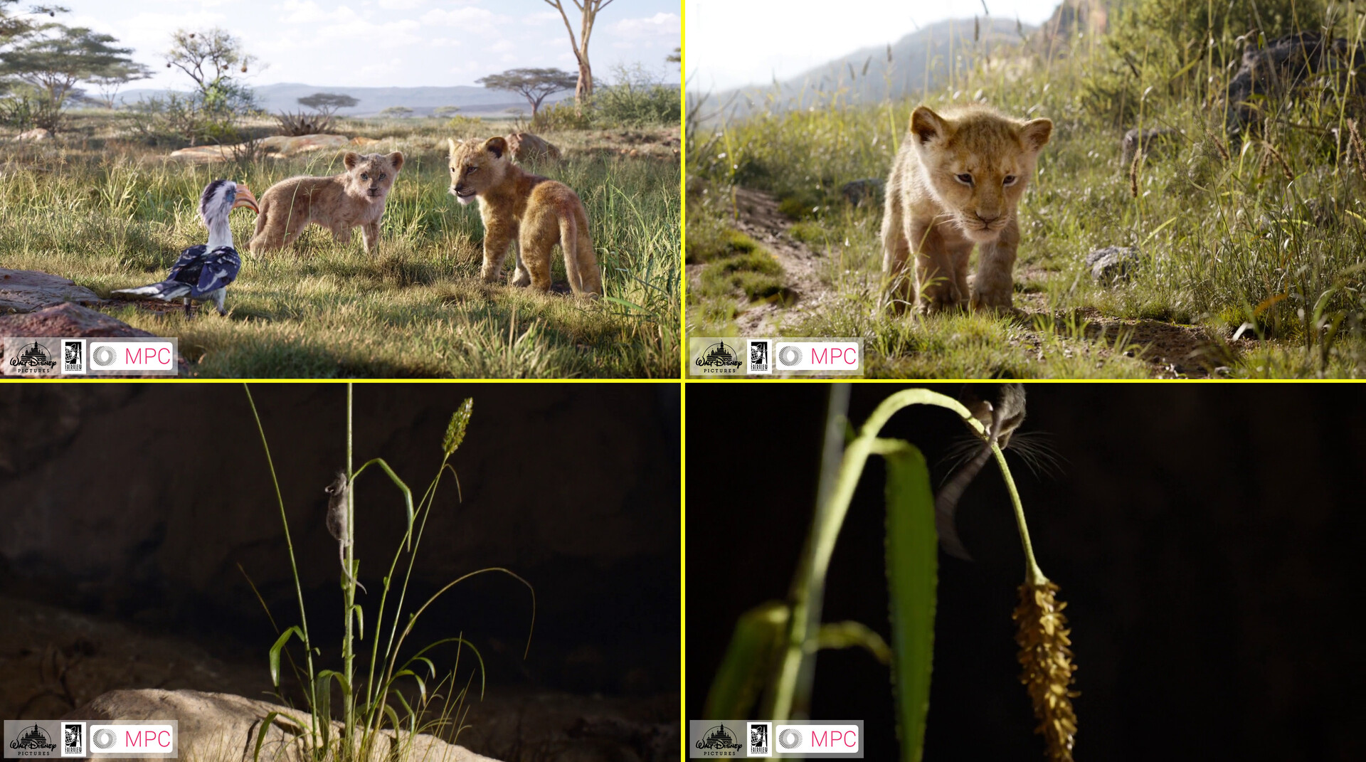 producers plants in the lion king