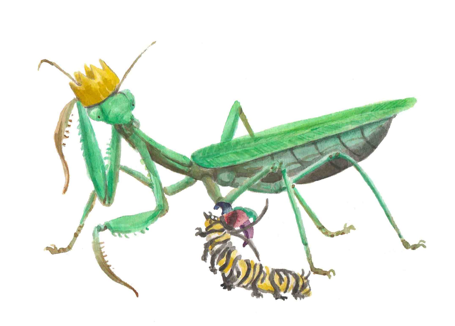 ArtStation - KING OF THE BUGS