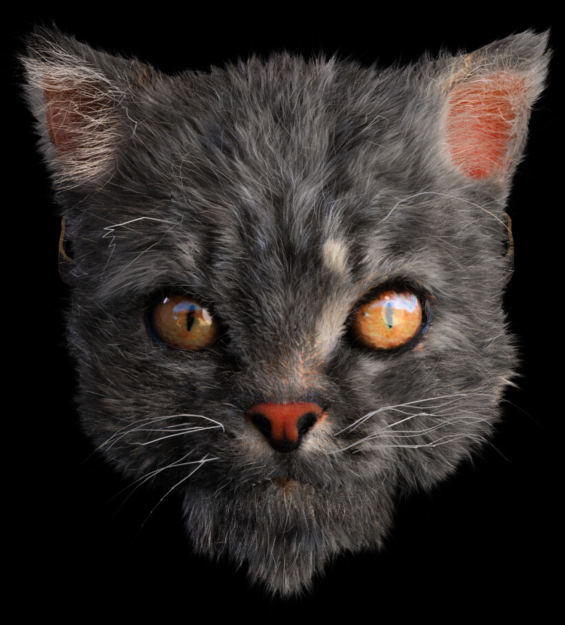 Mehdi Rahif - Moorish Shaman