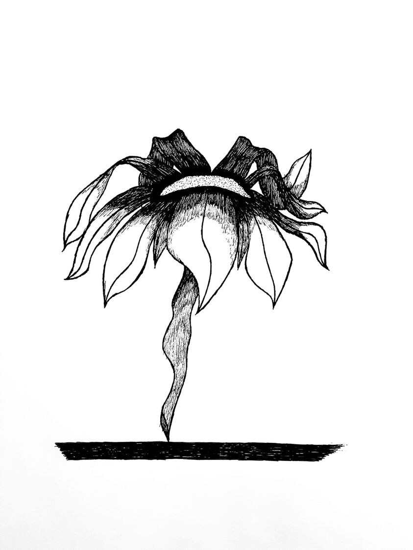 ArtStation - "A dying flower"