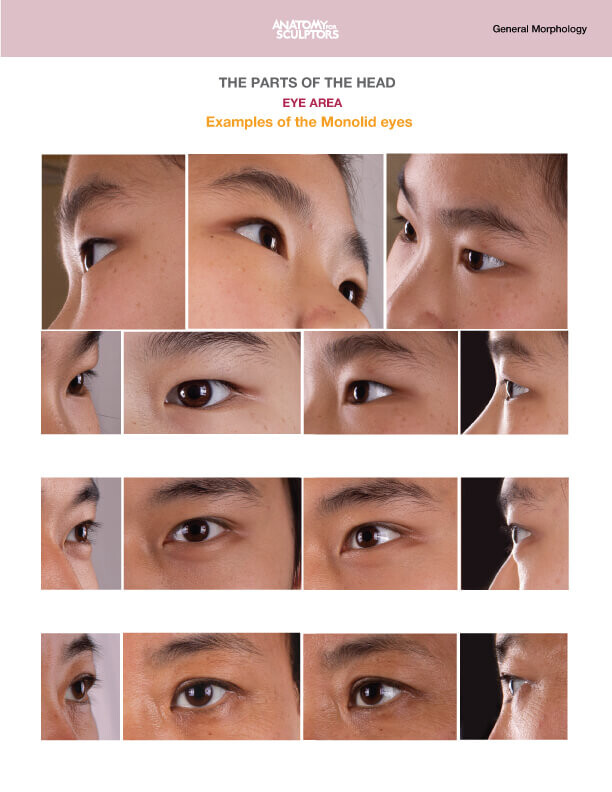 how to draw epicanthic folds