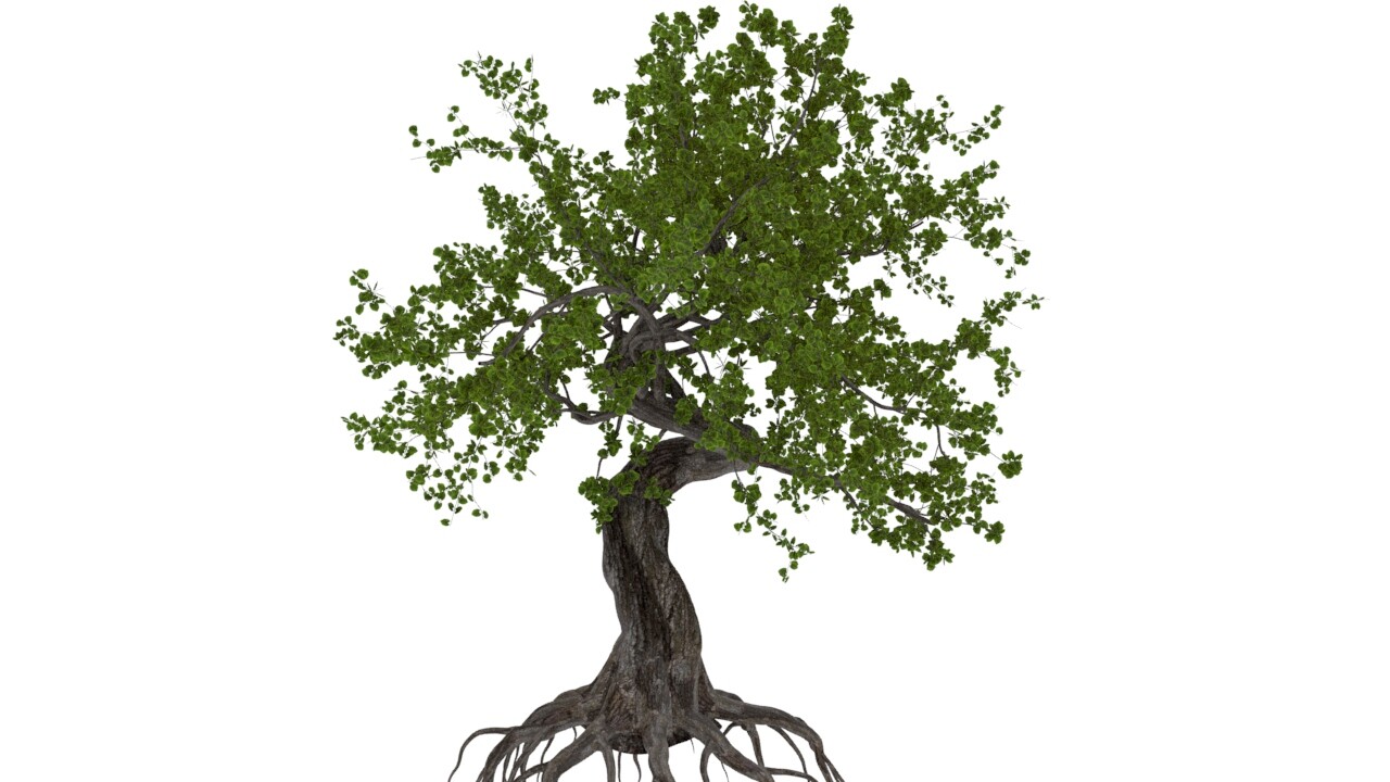 ArtStation - speedTree