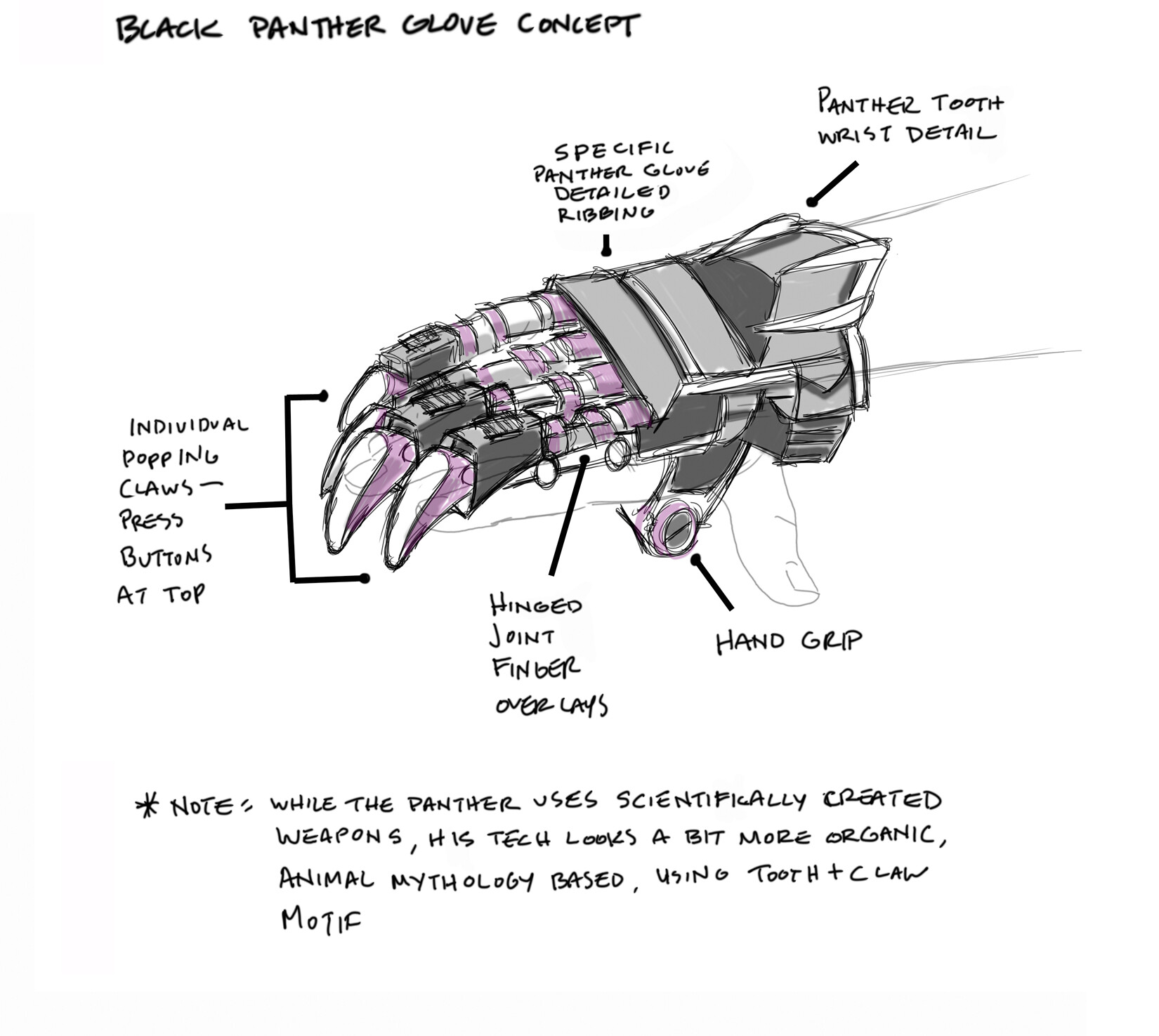 Real Black Panther Claws