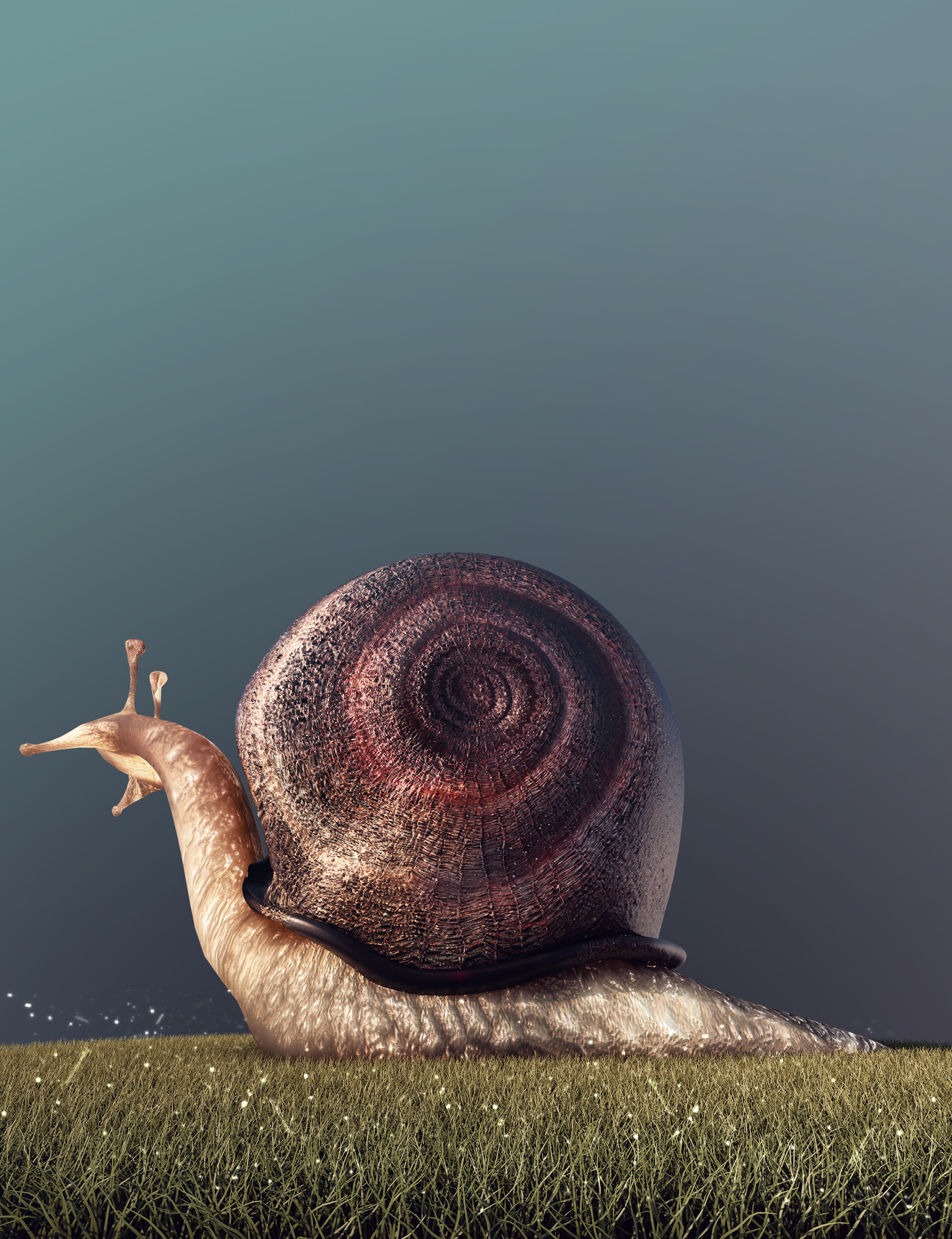 ArtStation - Snail
