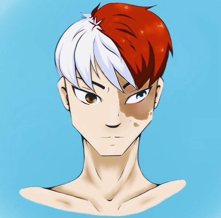 ArtStation - Todoroki