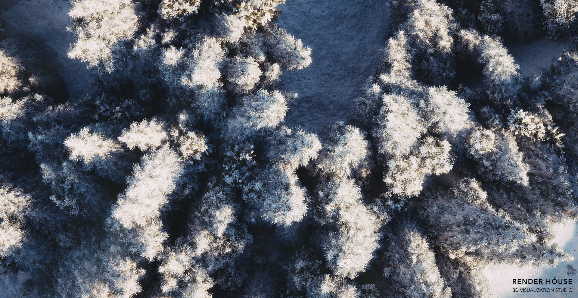 ArtStation - Snow Forest Full CGI