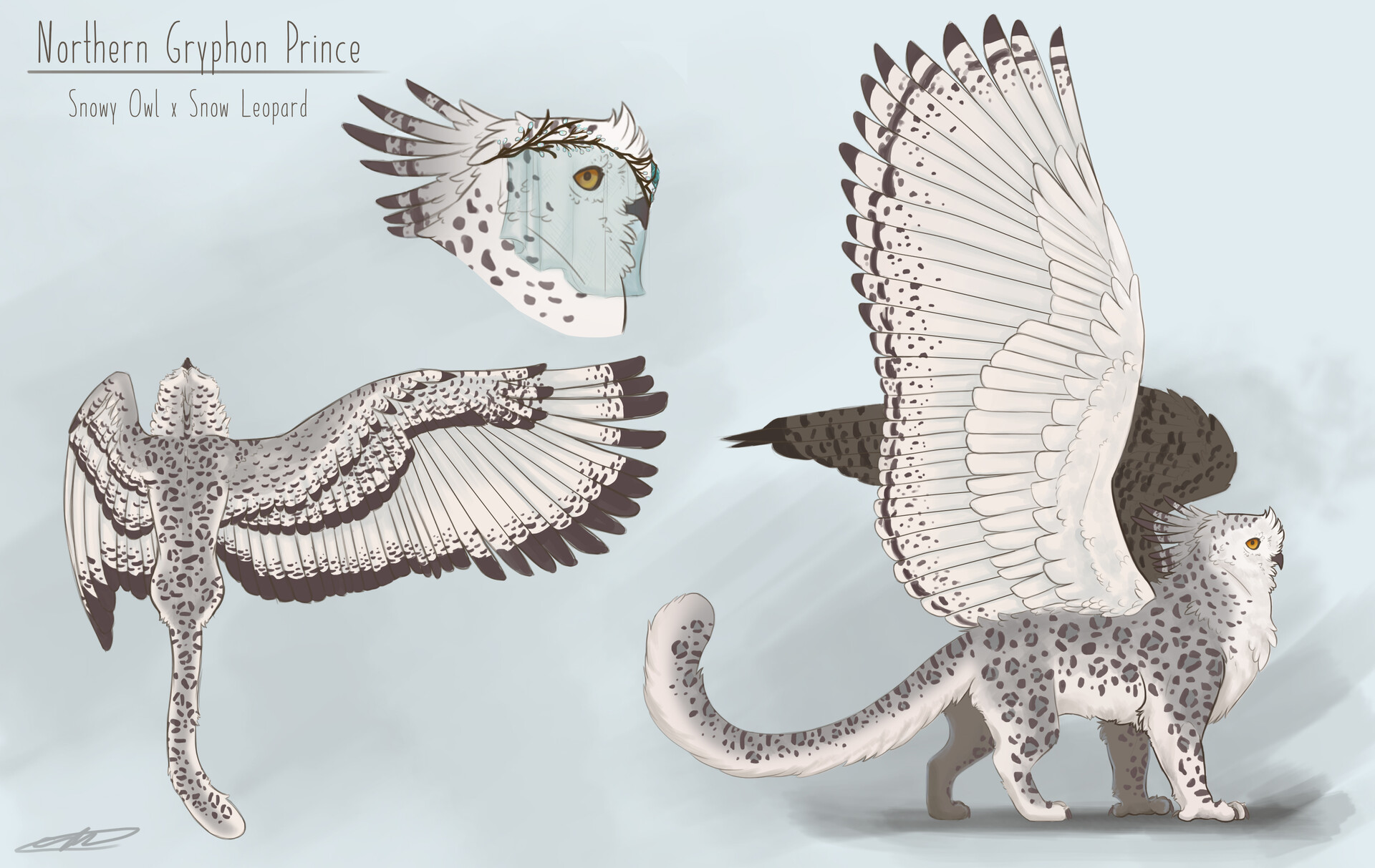 how to draw owl griffin