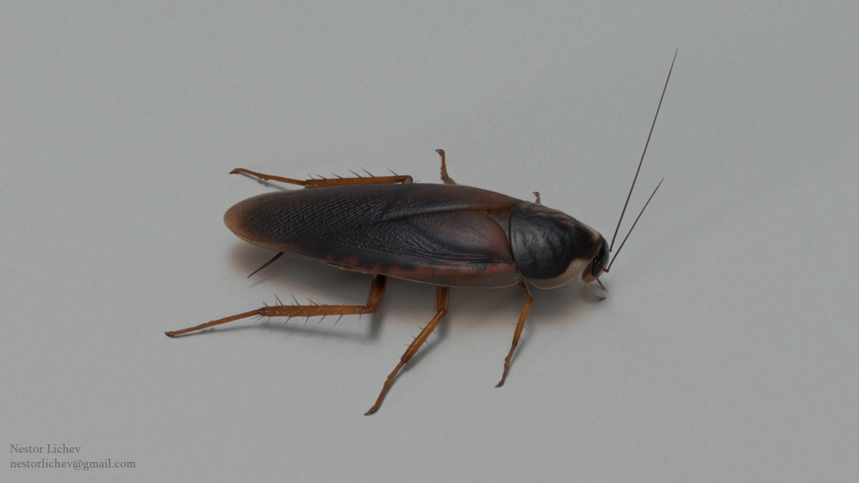 ArtStation - Cockroach