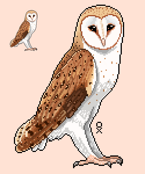 ArtStation - Owl Pixel