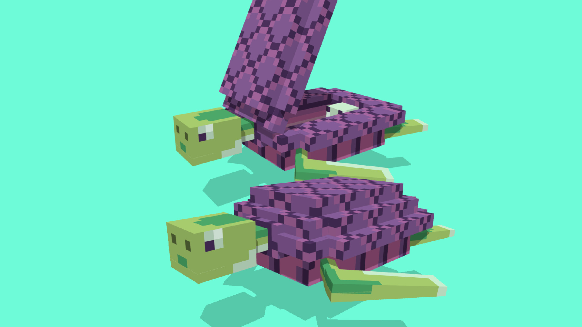 Ben Chessum - Turtler