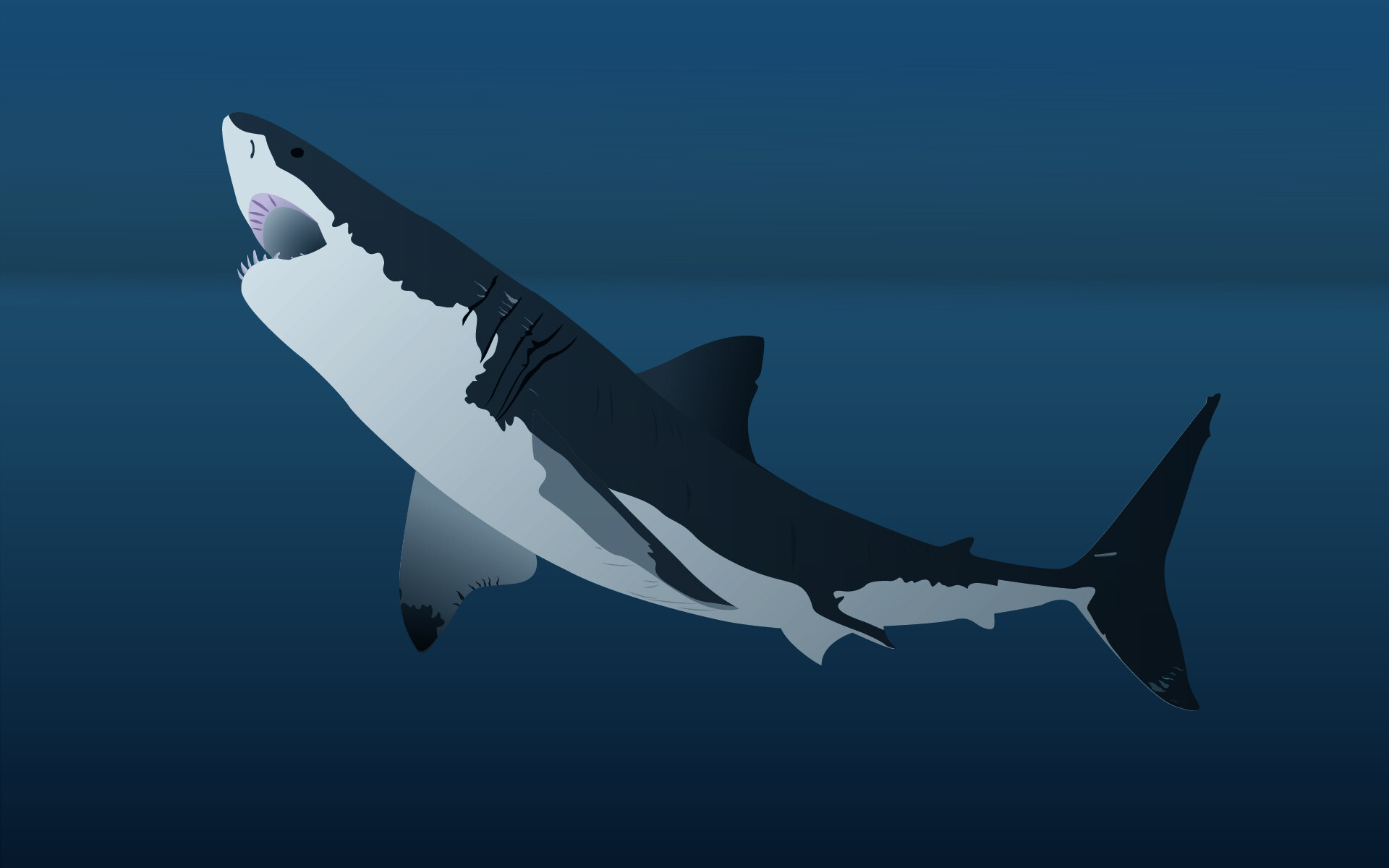ArtStation - Great White Shark 2D