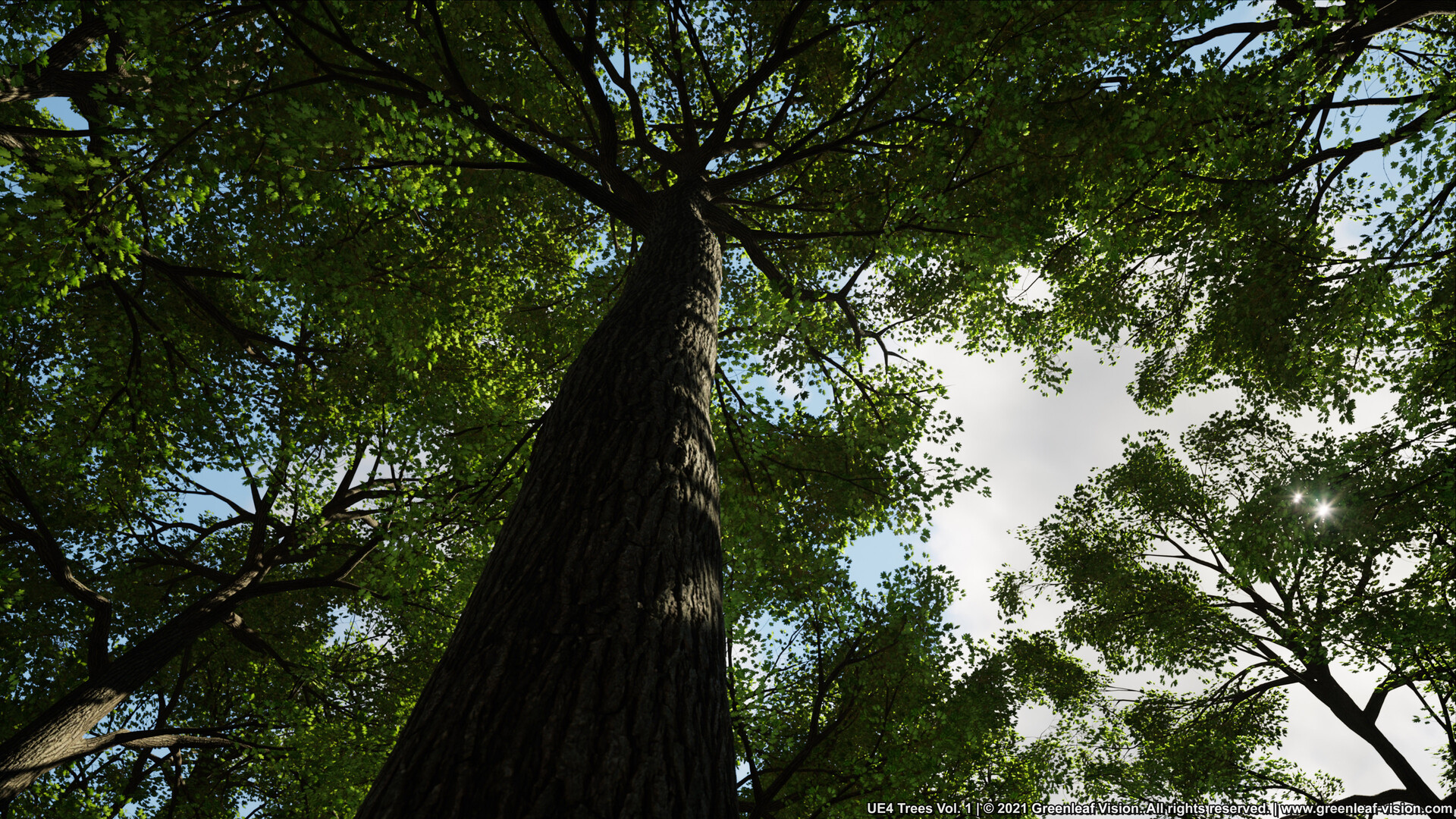 Benjamin Koch - Trees Vol. 1 Pack - Update V1.4 - Unreal Engine 4