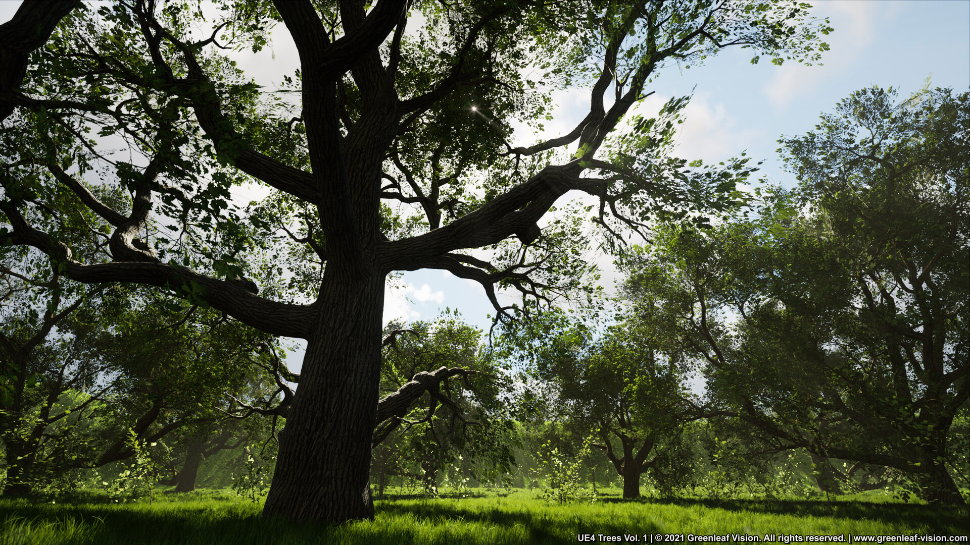 Benjamin Koch - Trees Vol. 1 Pack - Update V1.4 - Unreal Engine 4