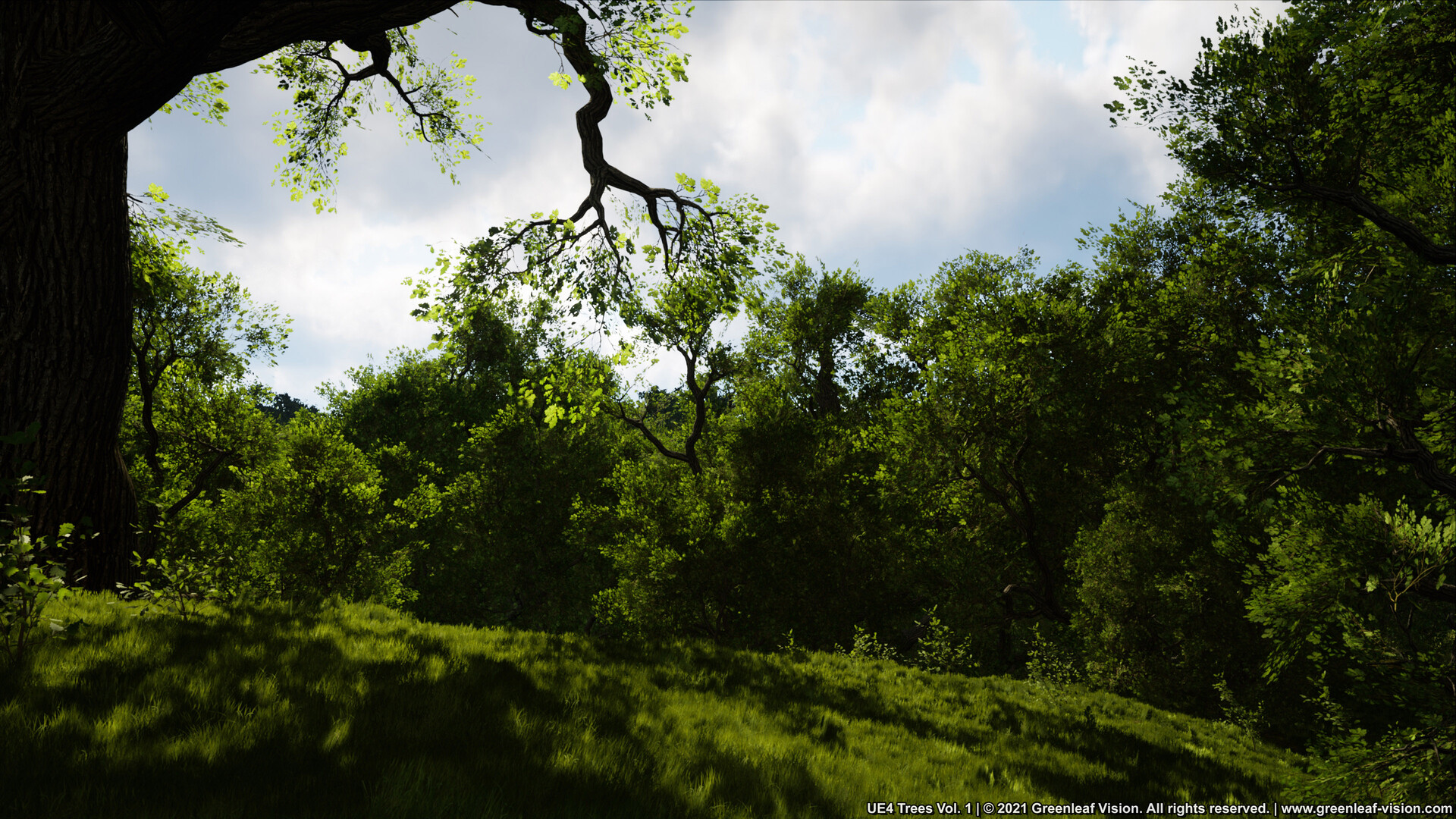 Benjamin Koch - Trees Vol. 1 Pack - Update V1.4 - Unreal Engine 4