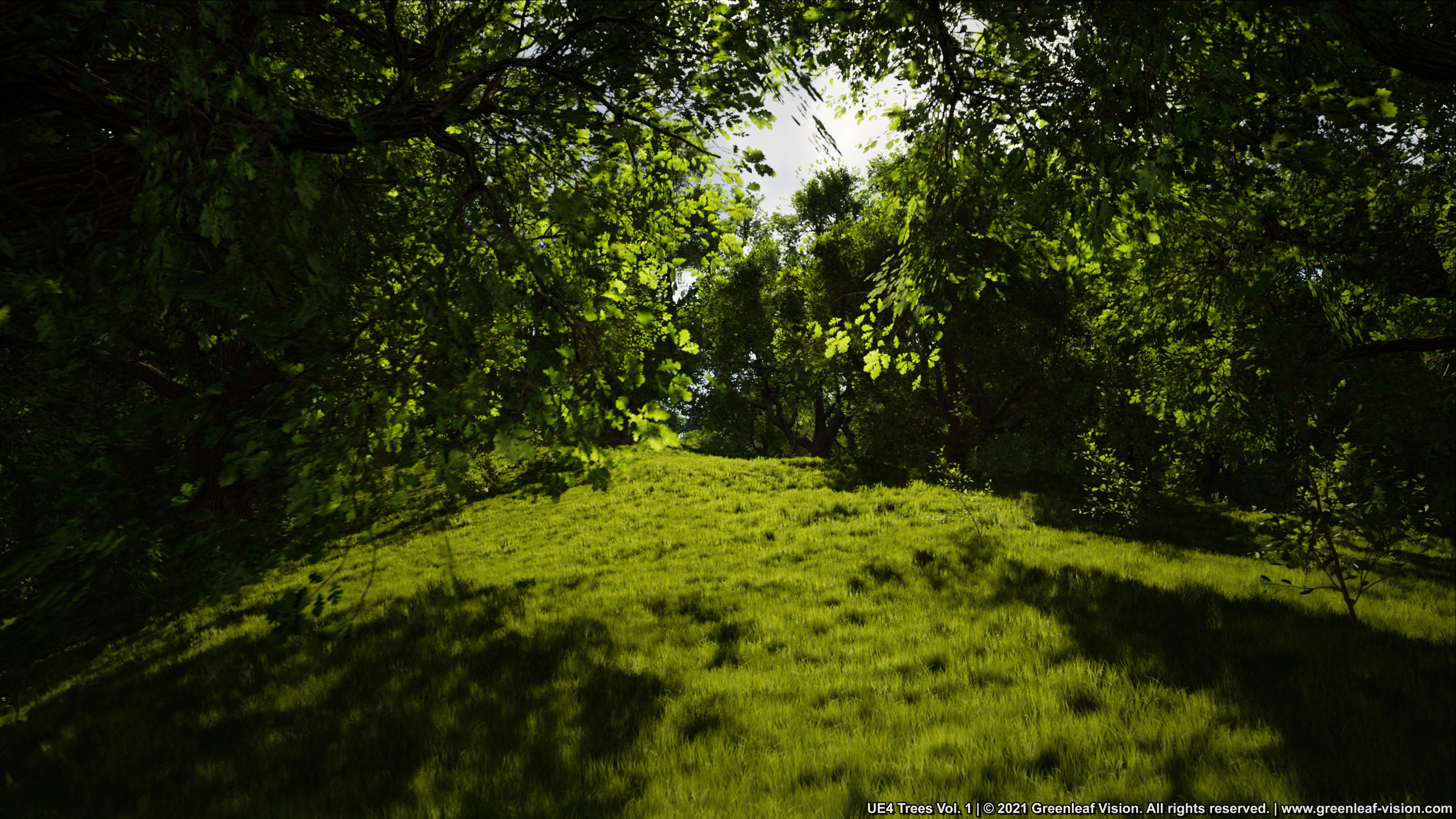 Benjamin Koch - Trees Vol. 1 Pack - Update V1.4 - Unreal Engine 4