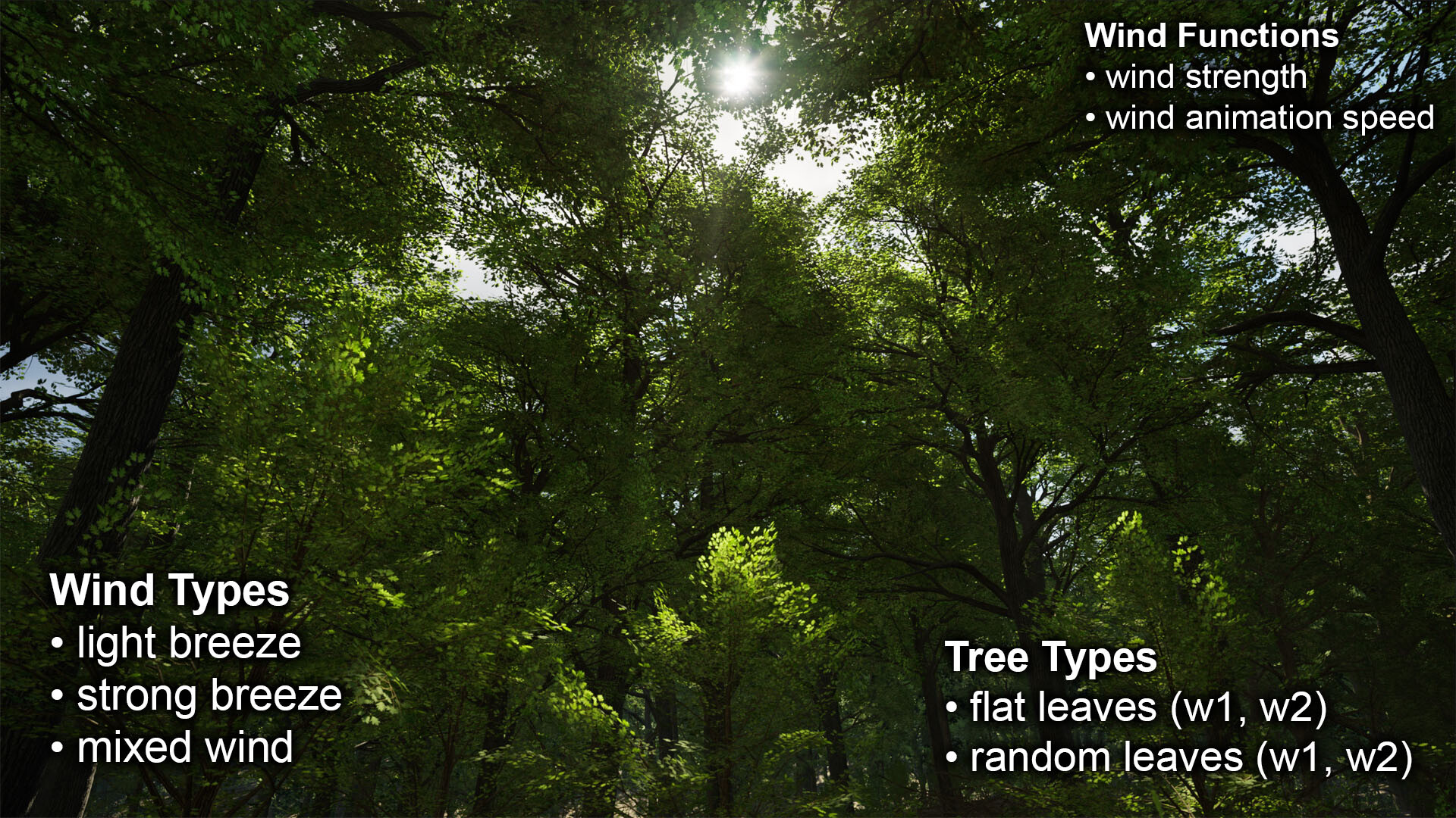 Benjamin Koch - Trees Vol. 1 Pack - Update V1.4 - Unreal Engine 4