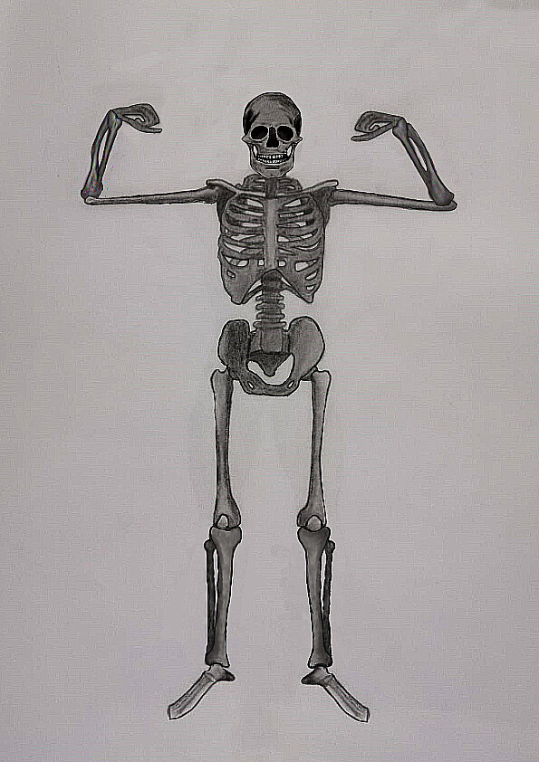 ArtStation - Traditional Anatomy Practice