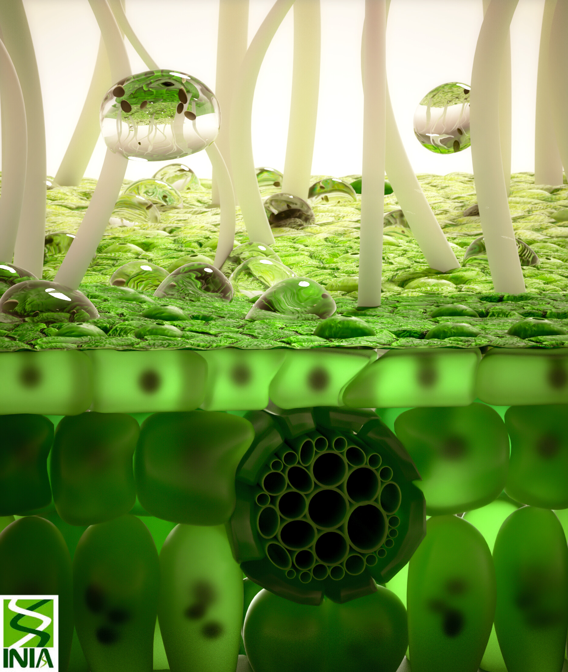 ArtStation - Leaf cells