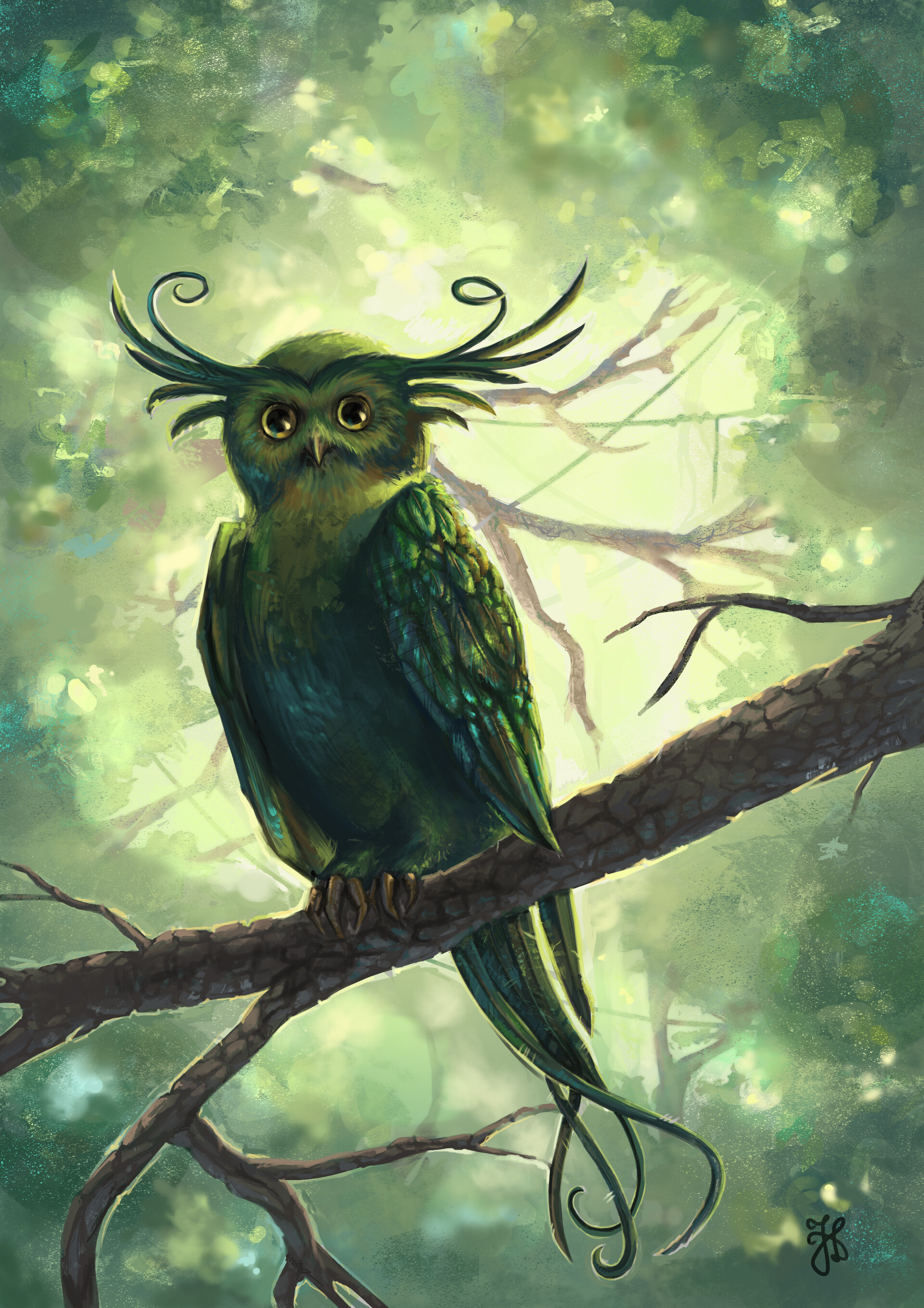 ArtStation - Tropical Owl - concept art