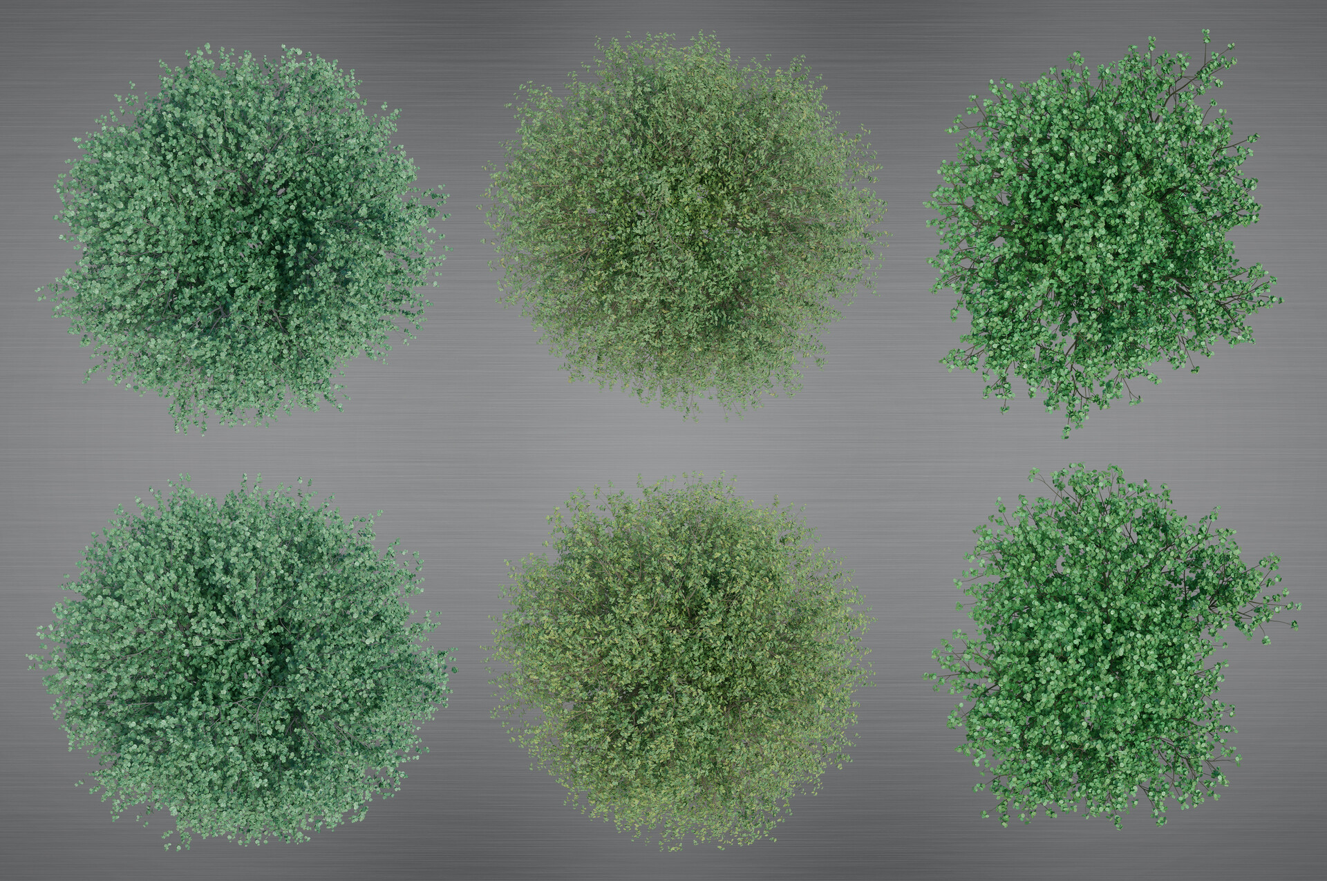 ArtStation - Trees Top Renders Freelance Job