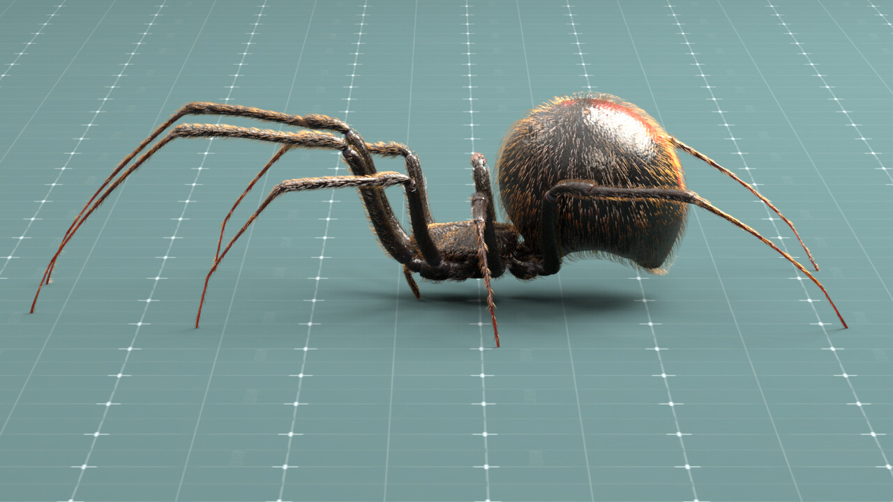 Brian Regg - Black widow spider 3d model (latrodectus mactans)