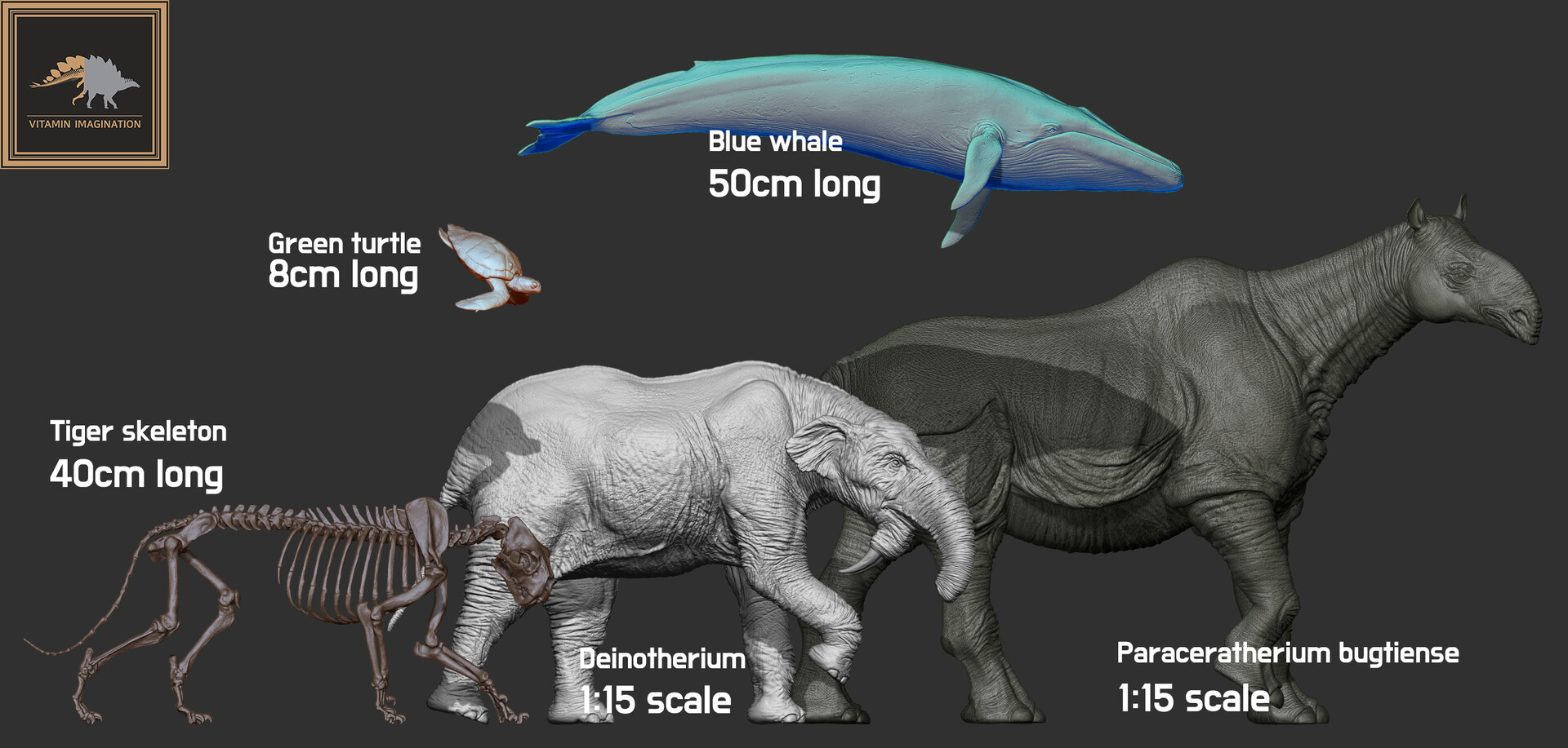 deinotherium size