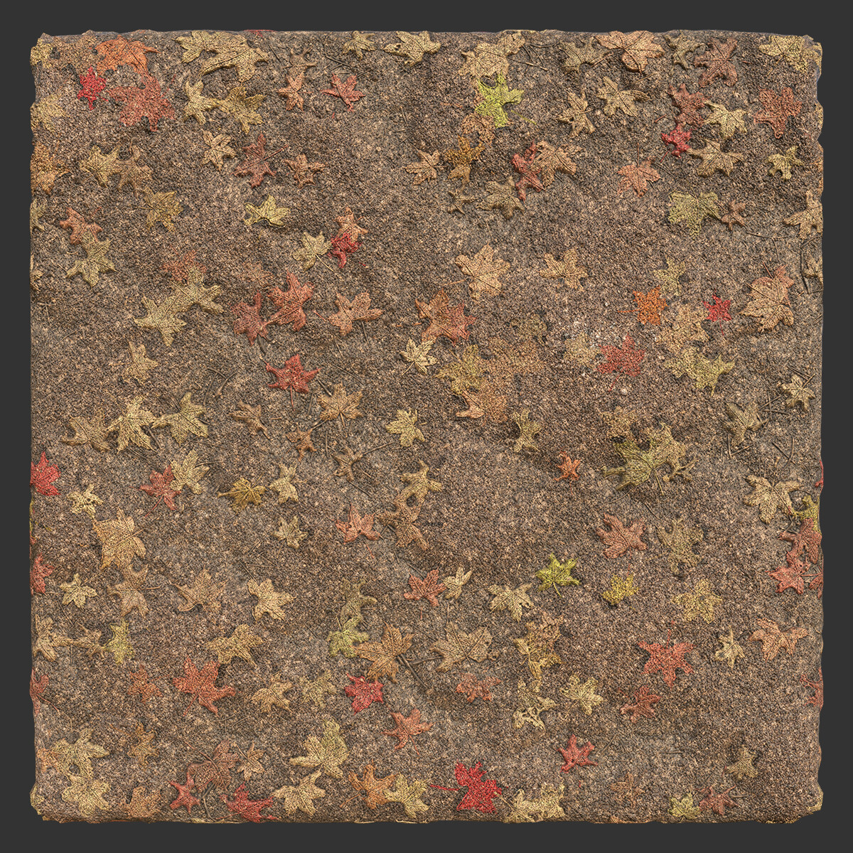 TextureCan - Ground Covered by Fallen Autumn Leaves