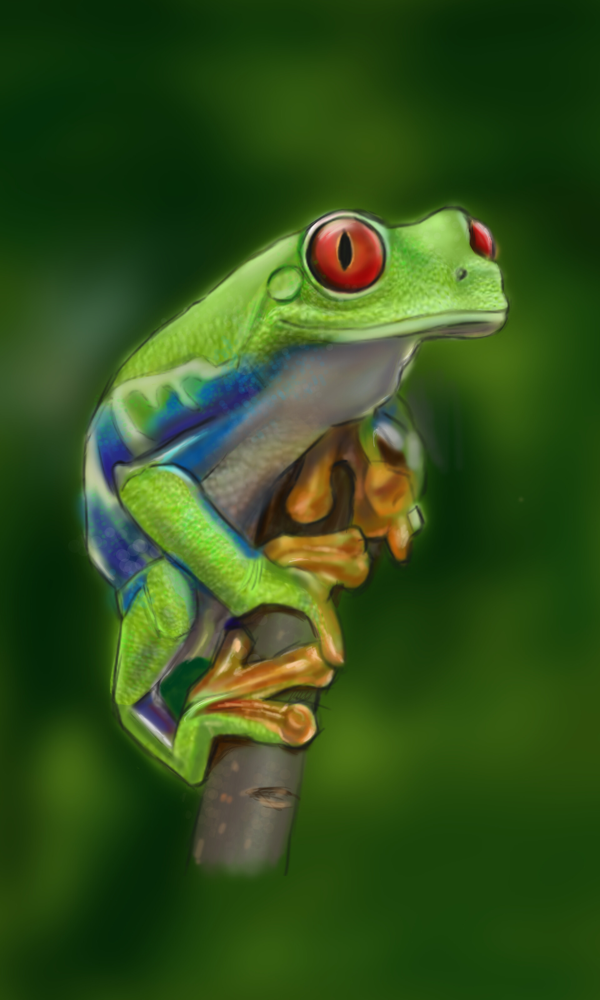 ArtStation - Red eye tree frog