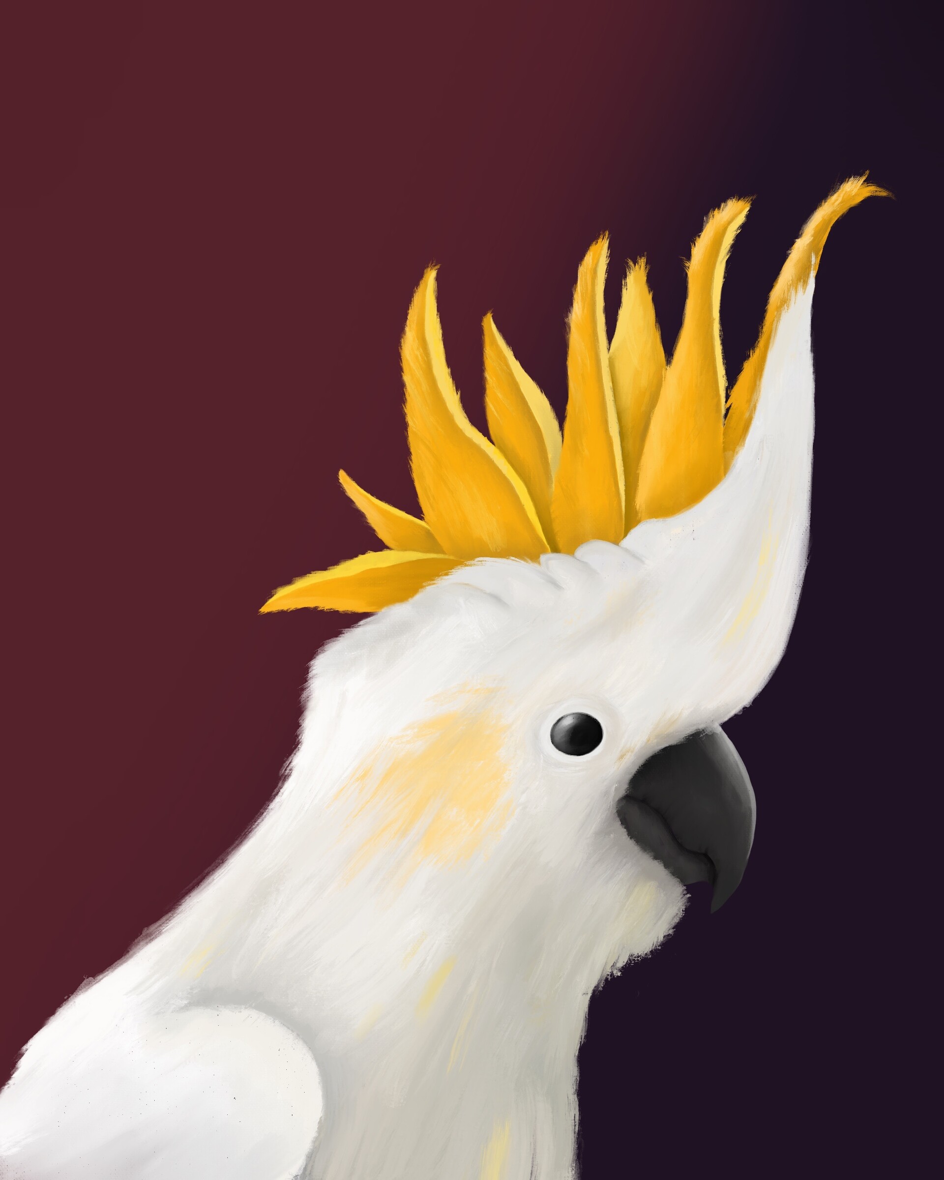 ArtStation - Cockatoo