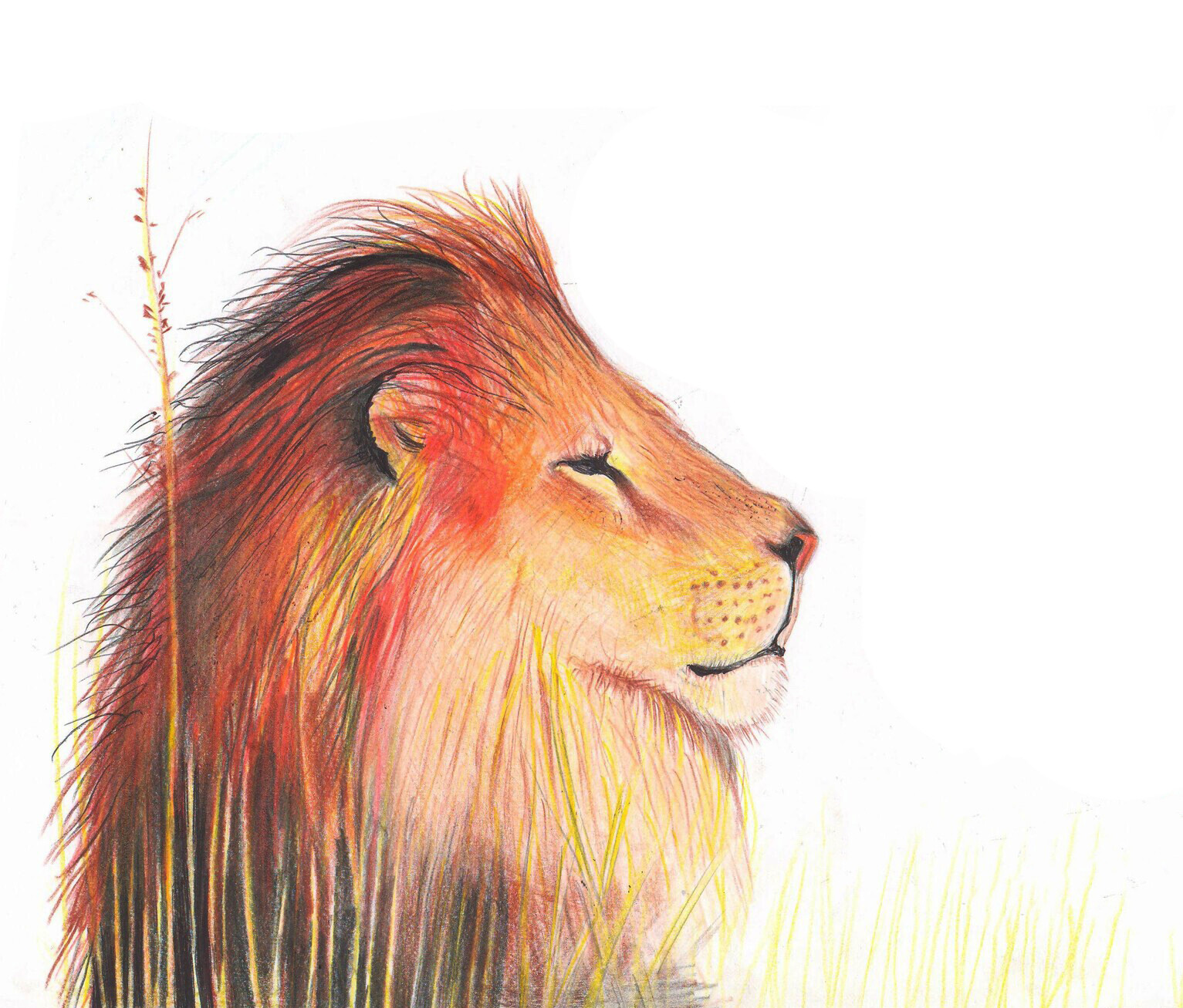 ArtStation - LION ON SAVANNAH