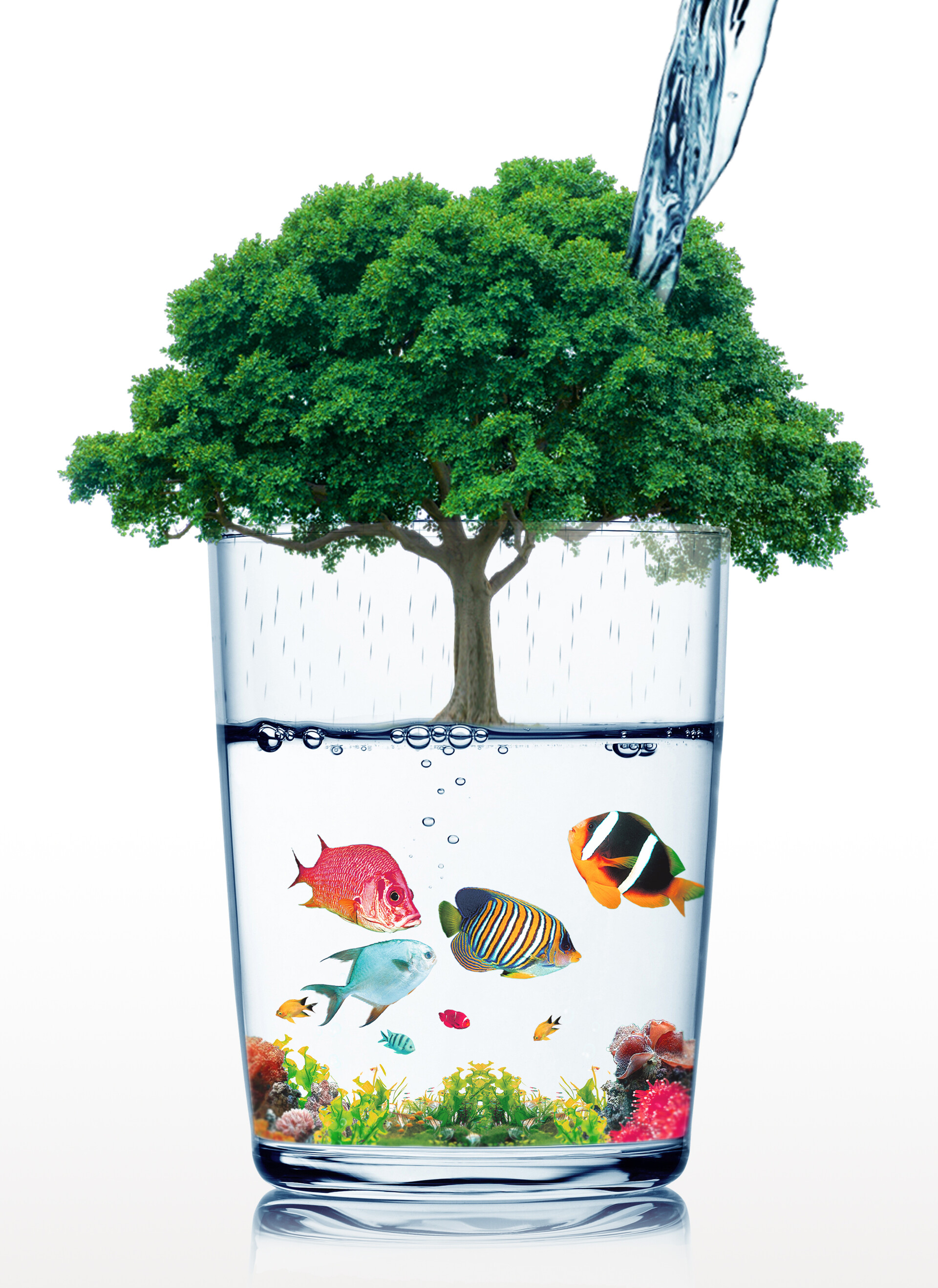 ArtStation - Photo Manipulation