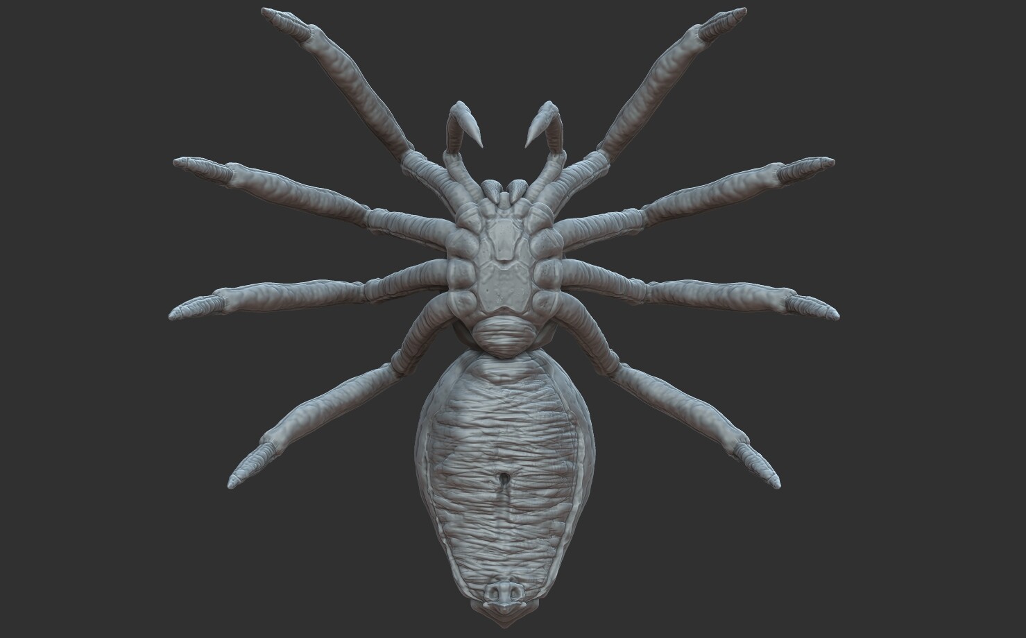 Terry Tanke - Giant Underdark Wolf Spider