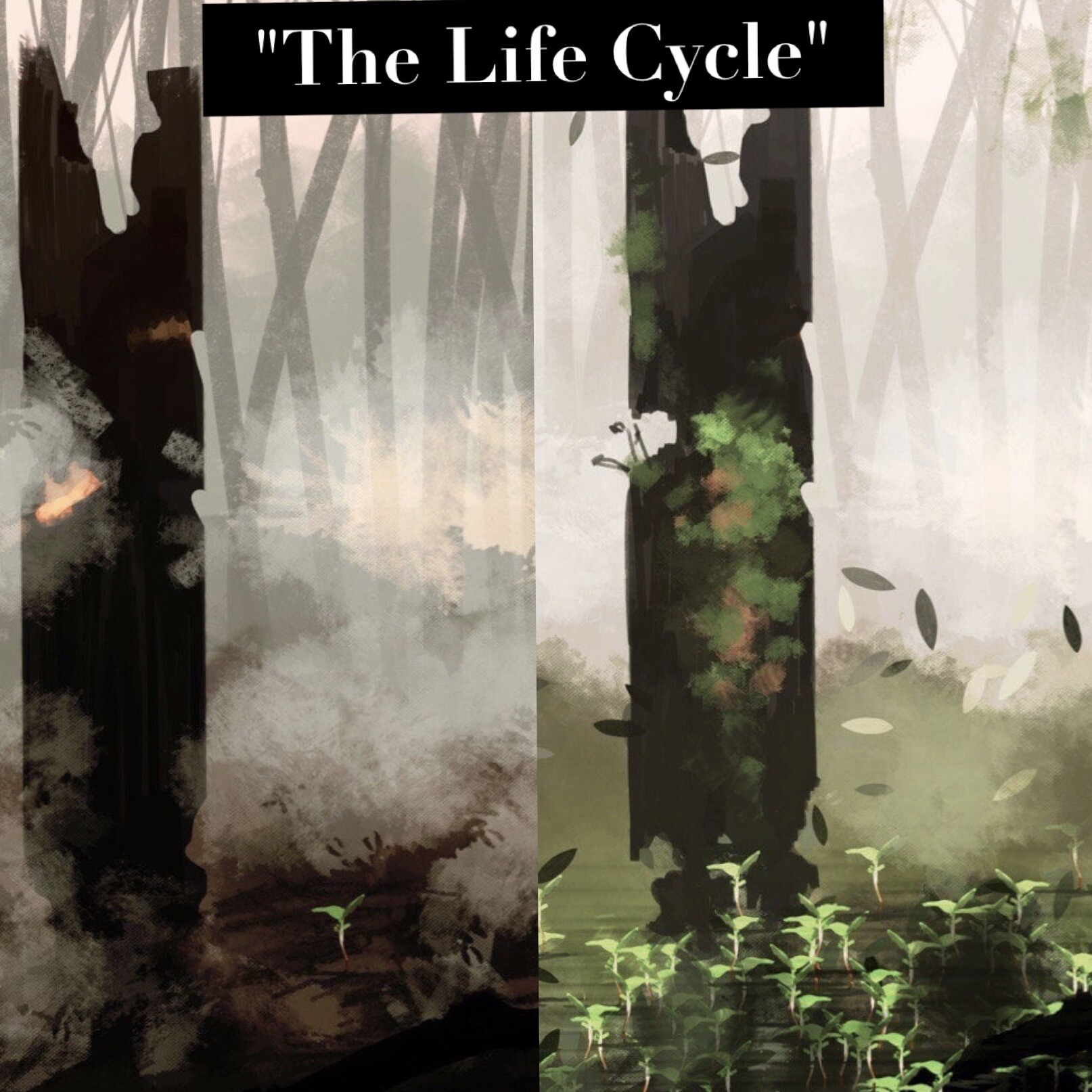 ArtStation - The Life Cycle