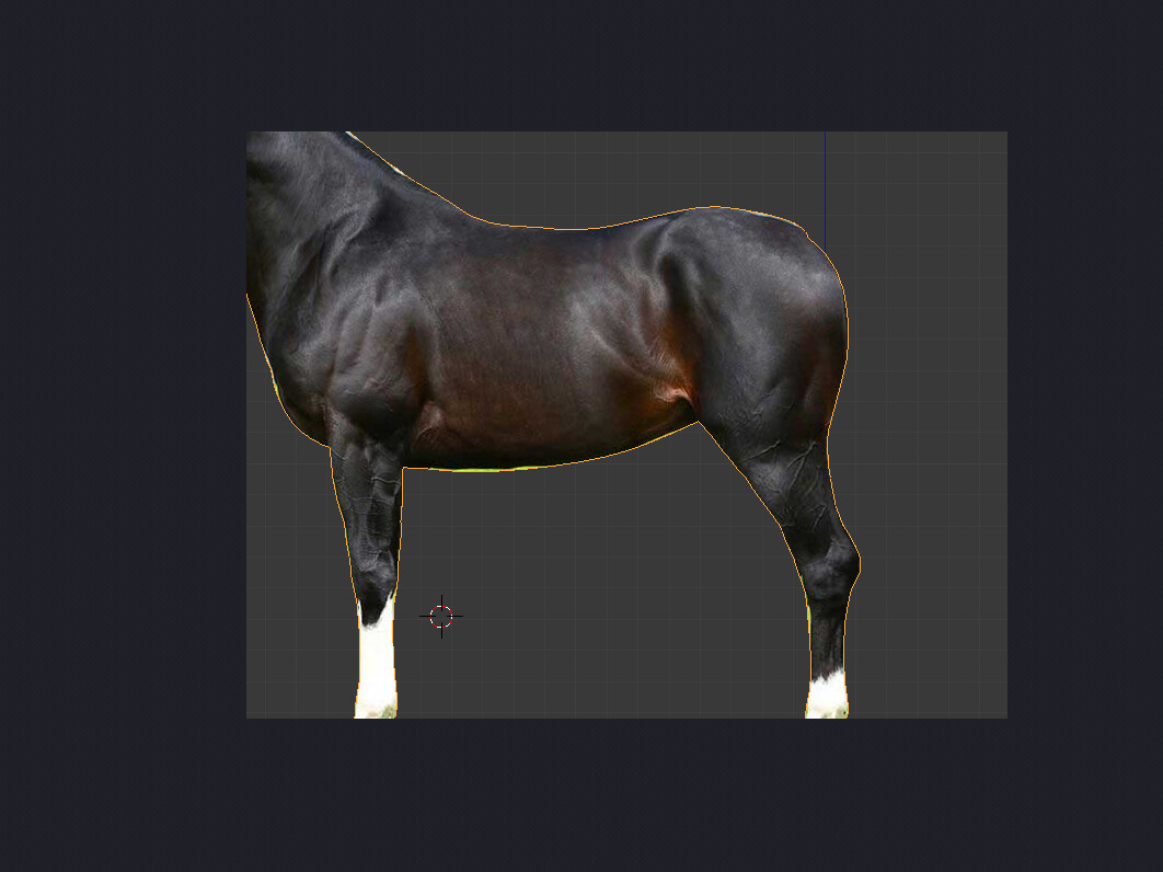 Sara Wermuth - Texture study