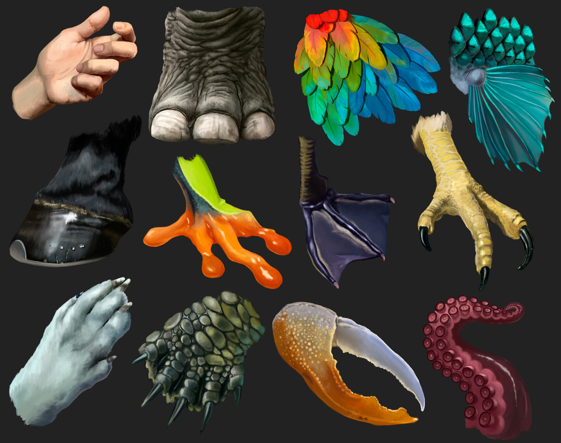 ArtStation - Creature Studies