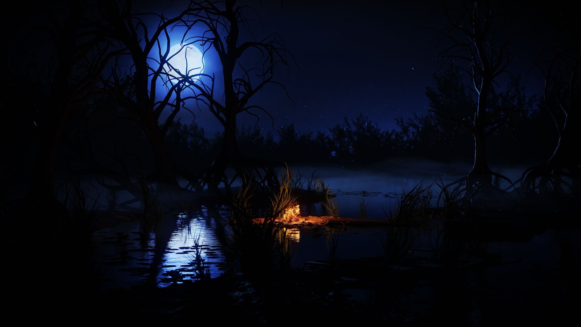 ArtStation - Night Swamp