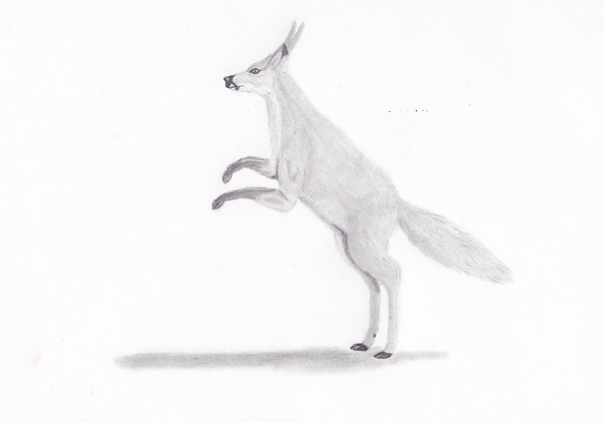 ArtStation - Deer fox