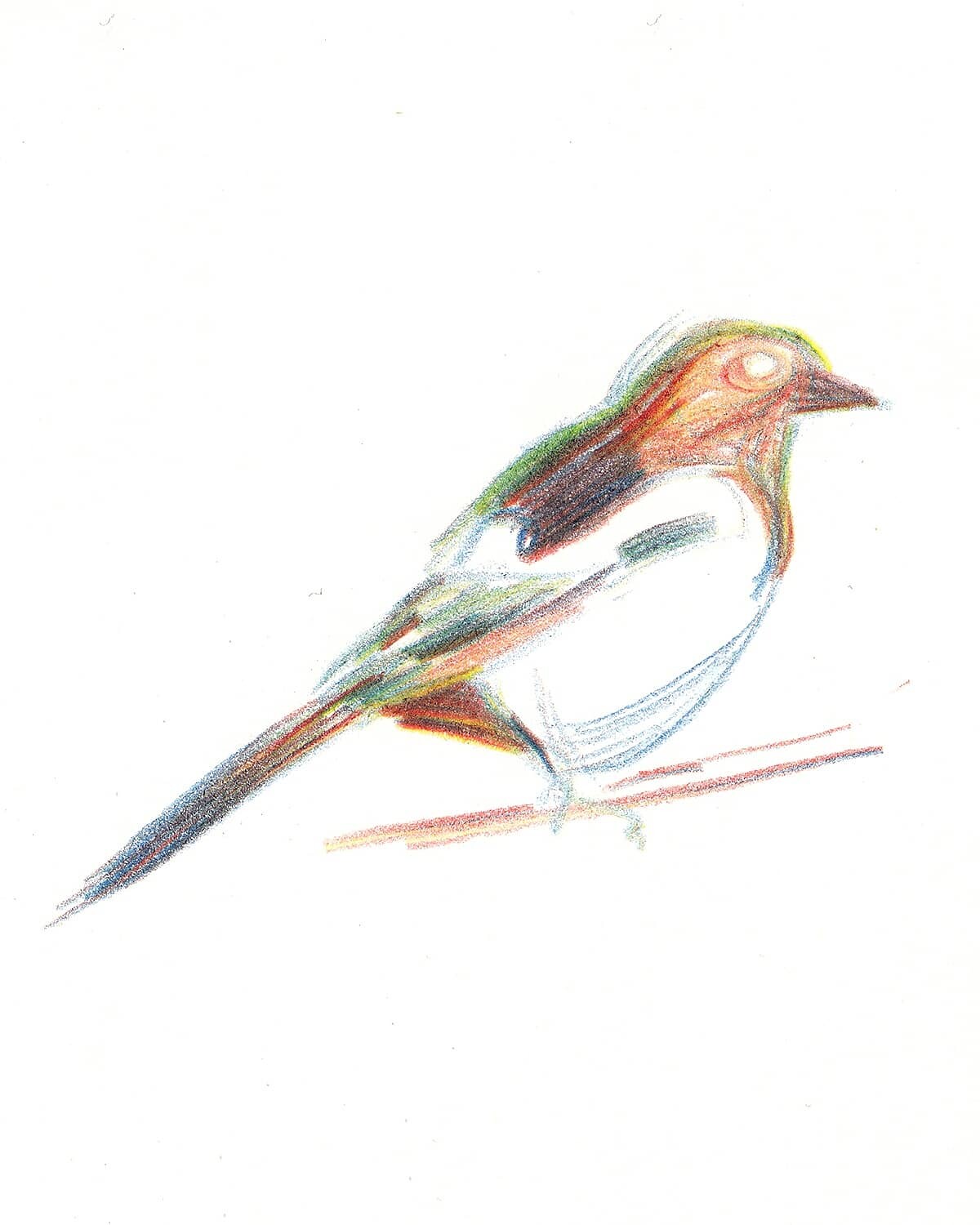 ArtStation - Multicoloured drawings