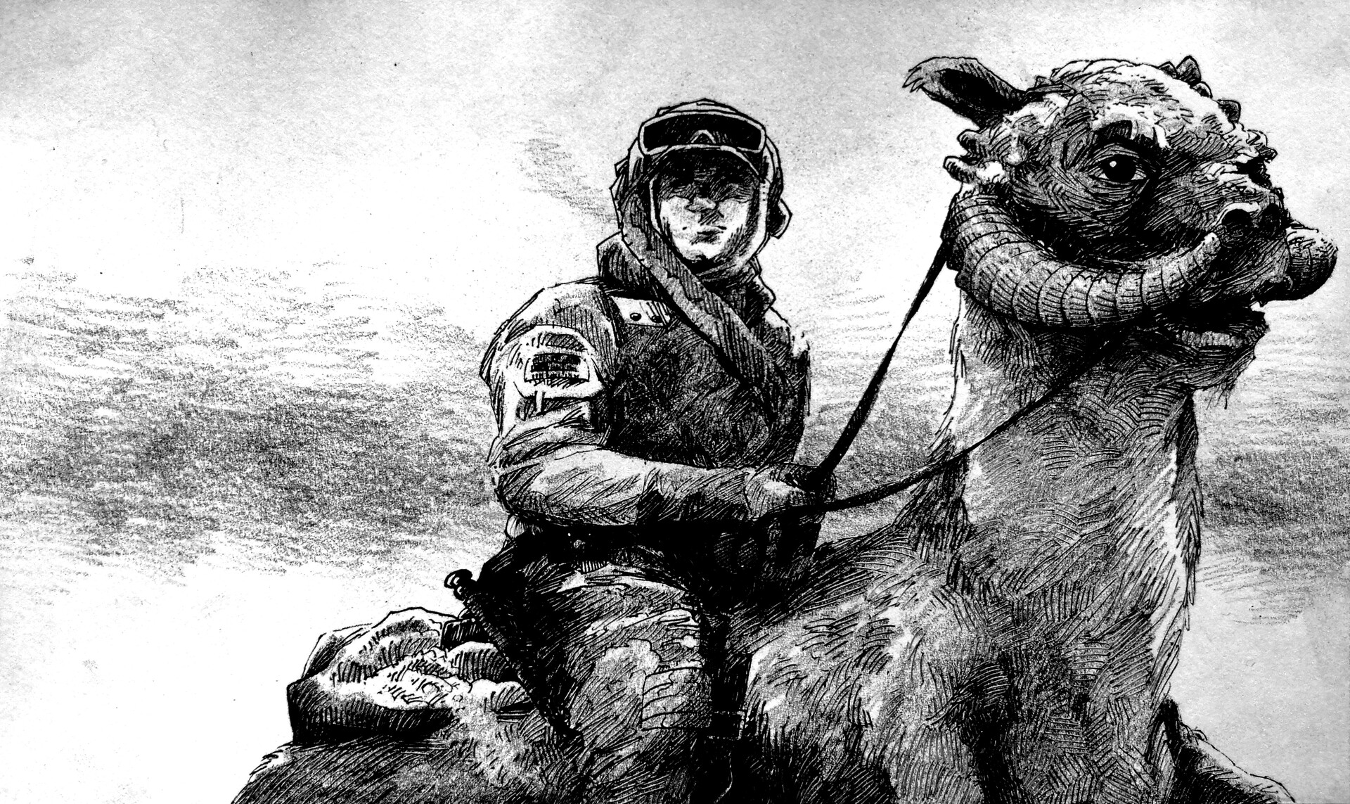 ArtStation - Tauntaun rider