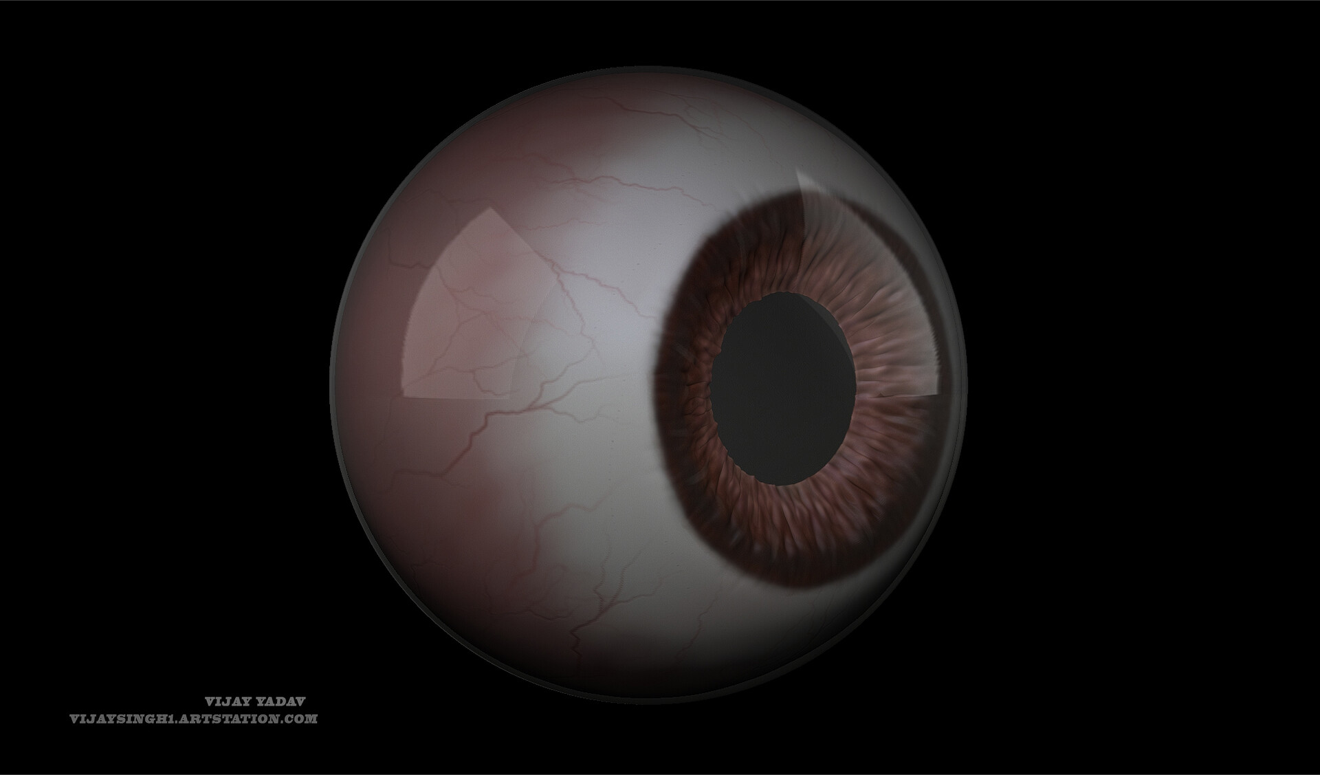 ArtStation - 3D Eye Animation ( Realistic )