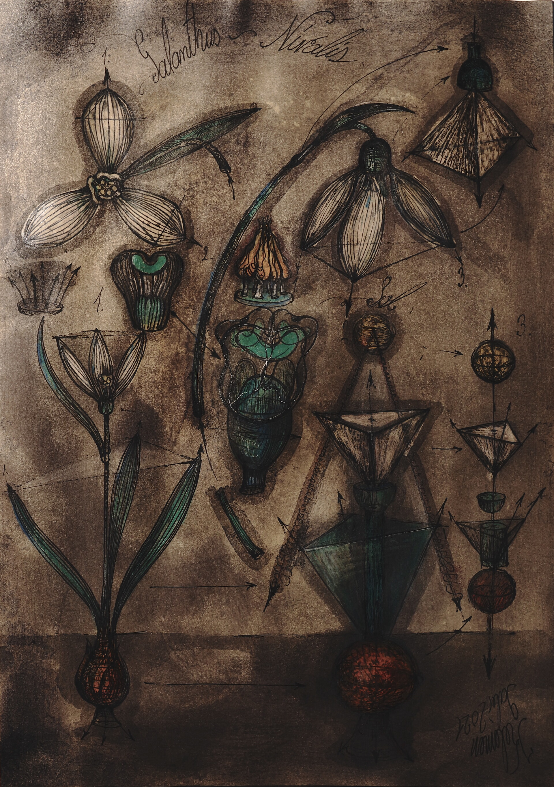ArtStation - galanthus nivalis computation