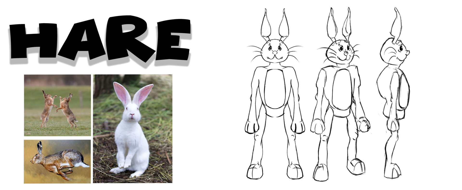 ArtStation - Hare and Tortoise Character Design