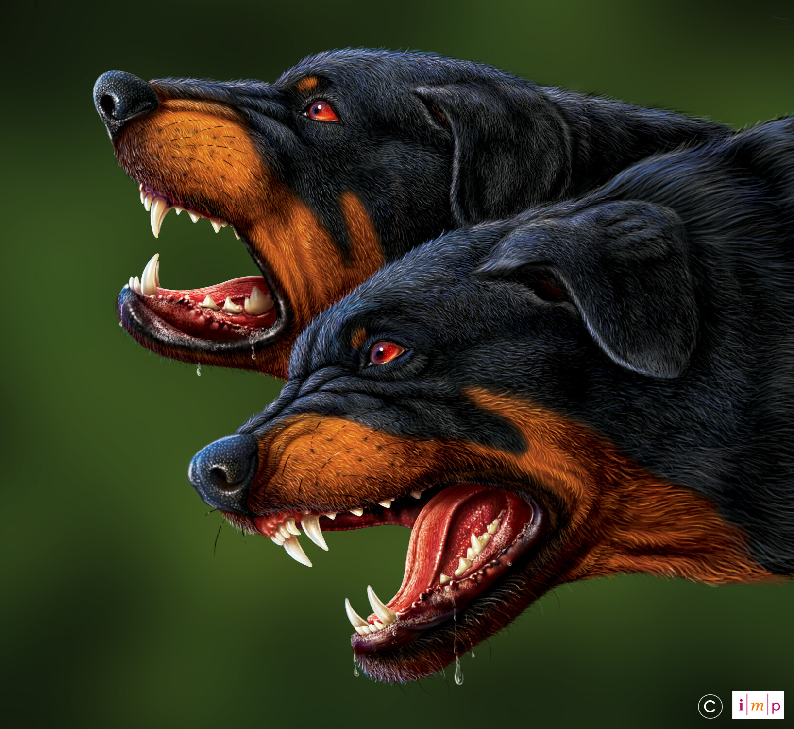 Givenchy Dog Background